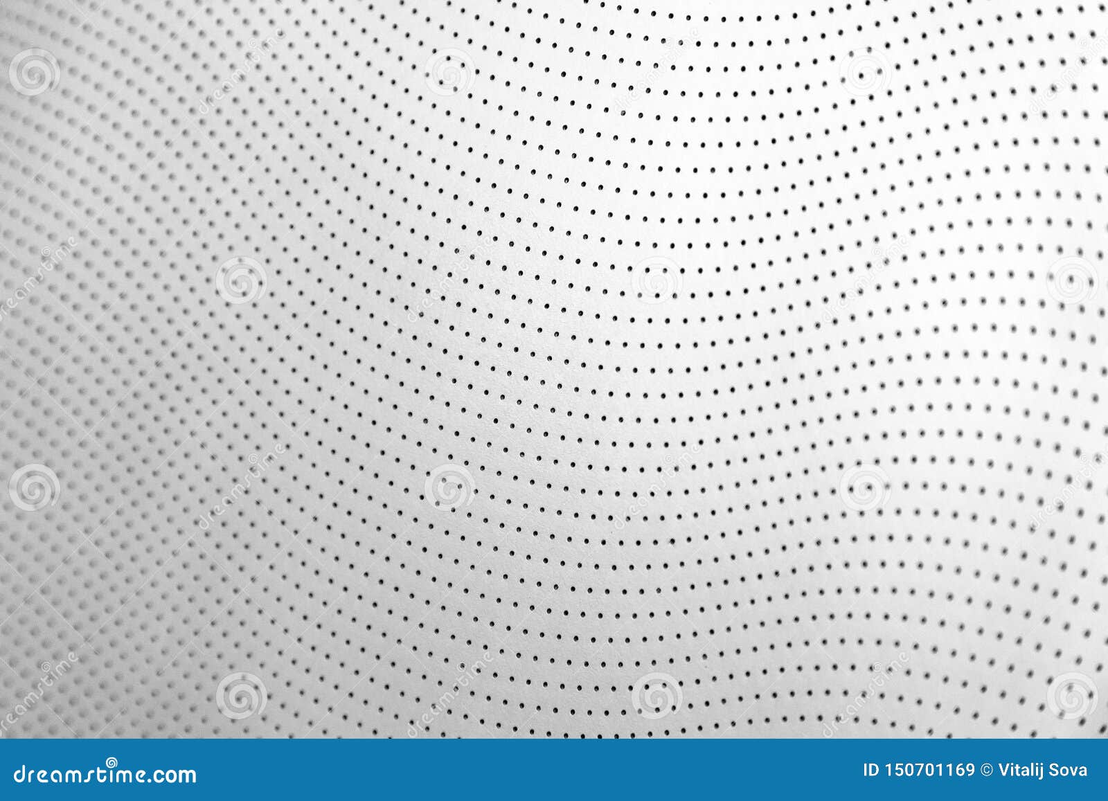 Perforate Skin Fish Stock Photo | CartoonDealer.com #22859676