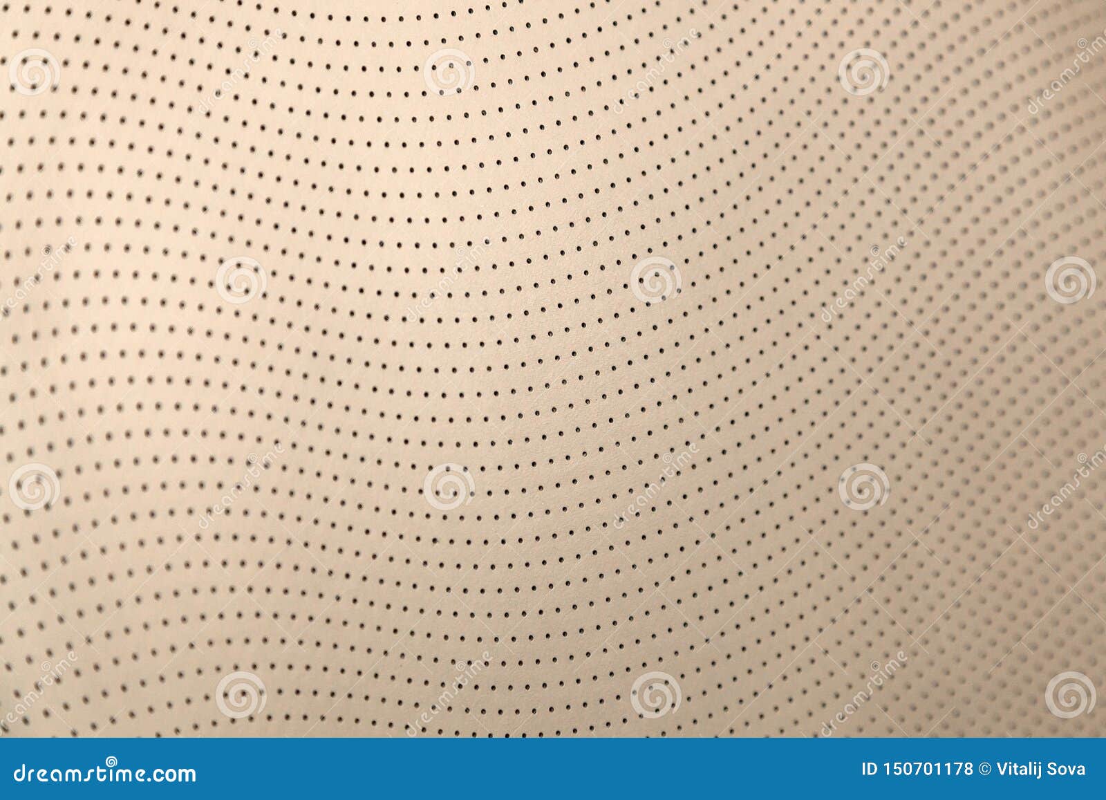 Perforate Skin Fish Stock Photo | CartoonDealer.com #22859676