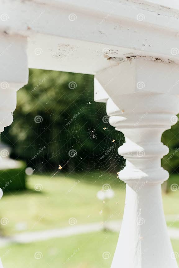 Close Up of a White Railing with a Spider Web Hanging from it Stock ...