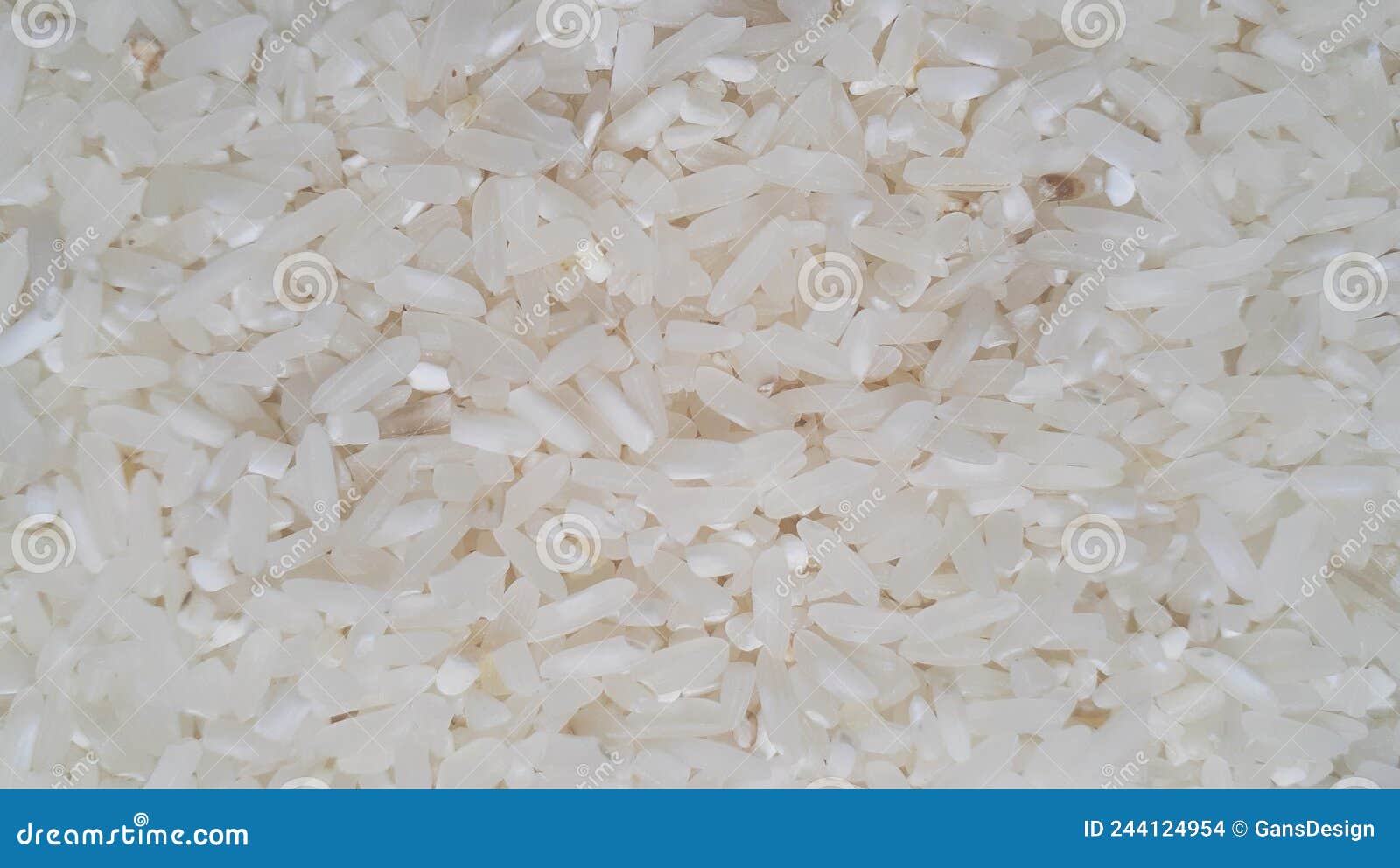 Close Up on White Rice Grains Wallpaper Details Stock Photo - Image of ...