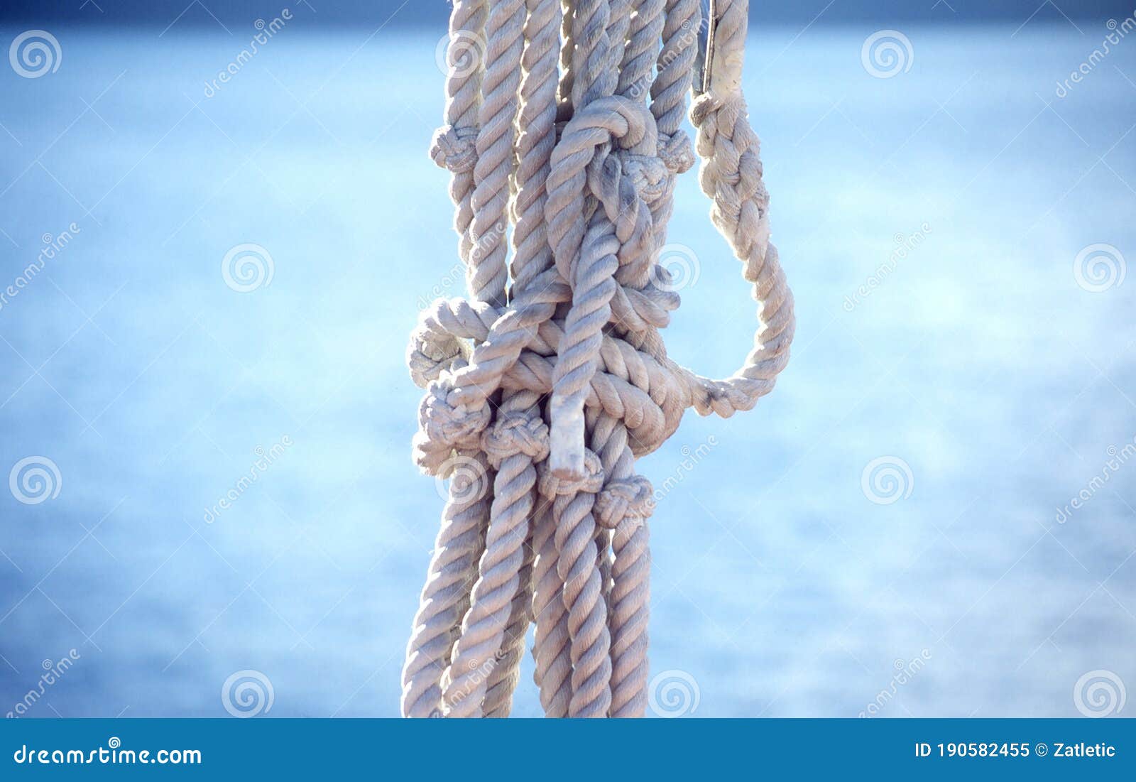 Close up of white rope stock image. Image of nautical - 190582455