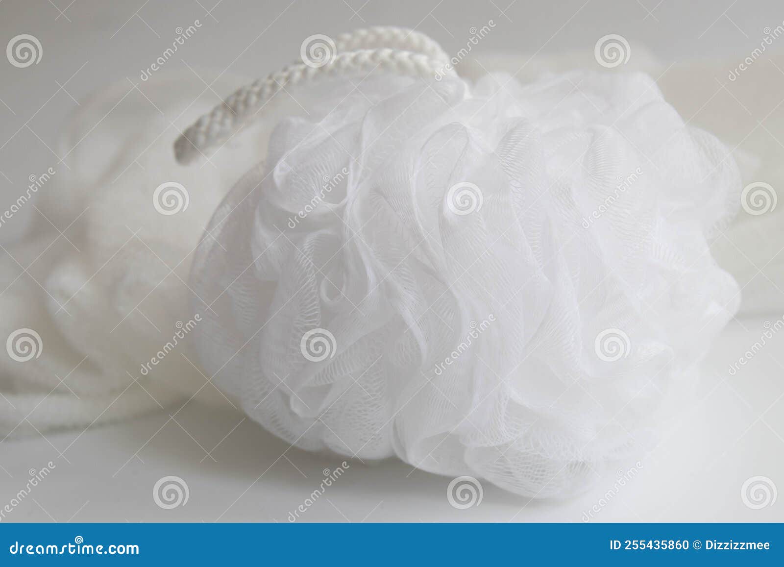 Close Up White Sponge on Grey Background Stock Photo - Image of ...