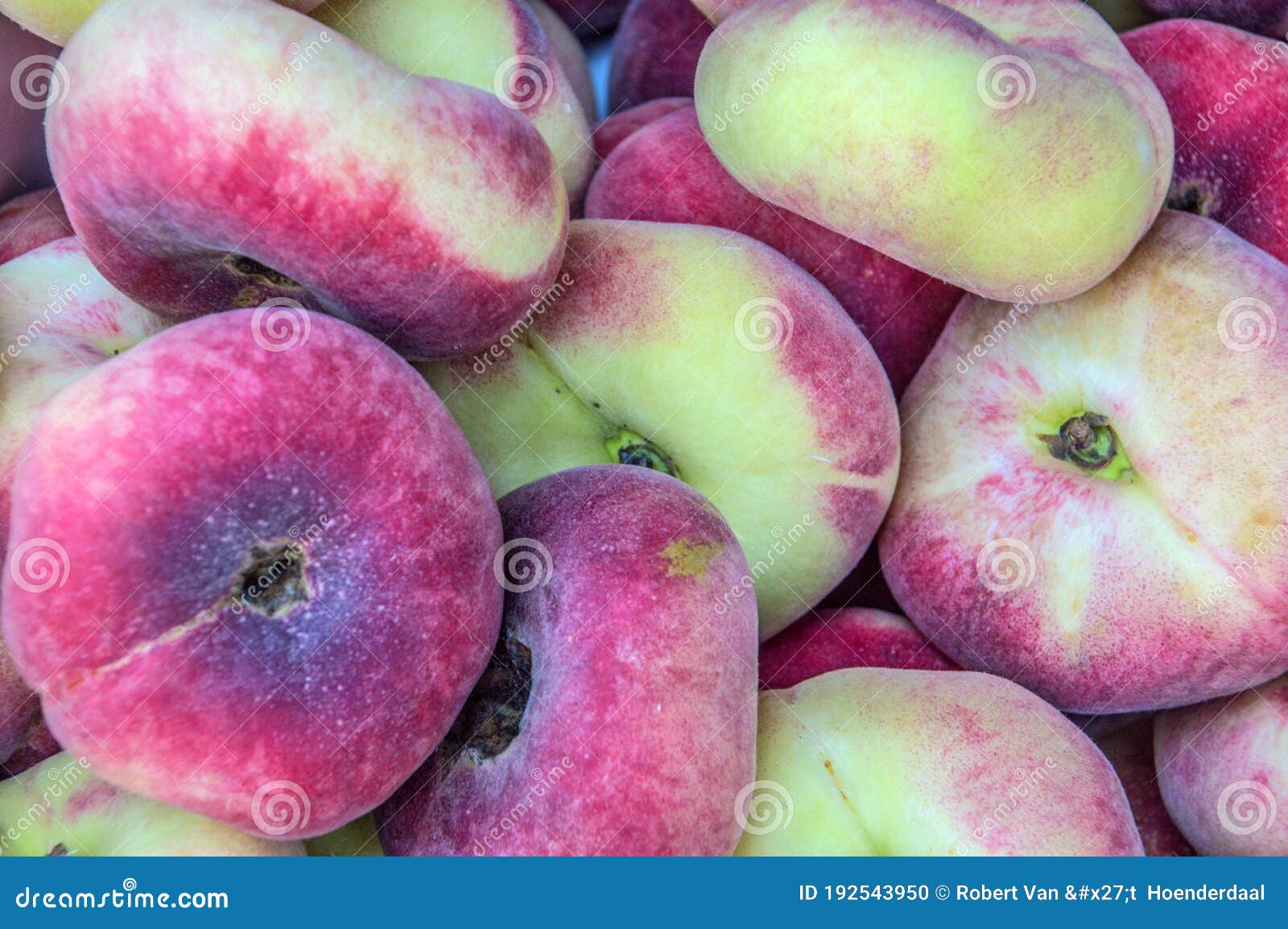 Close Up of Wild Peaches editorial image. Image of peach - 192543950