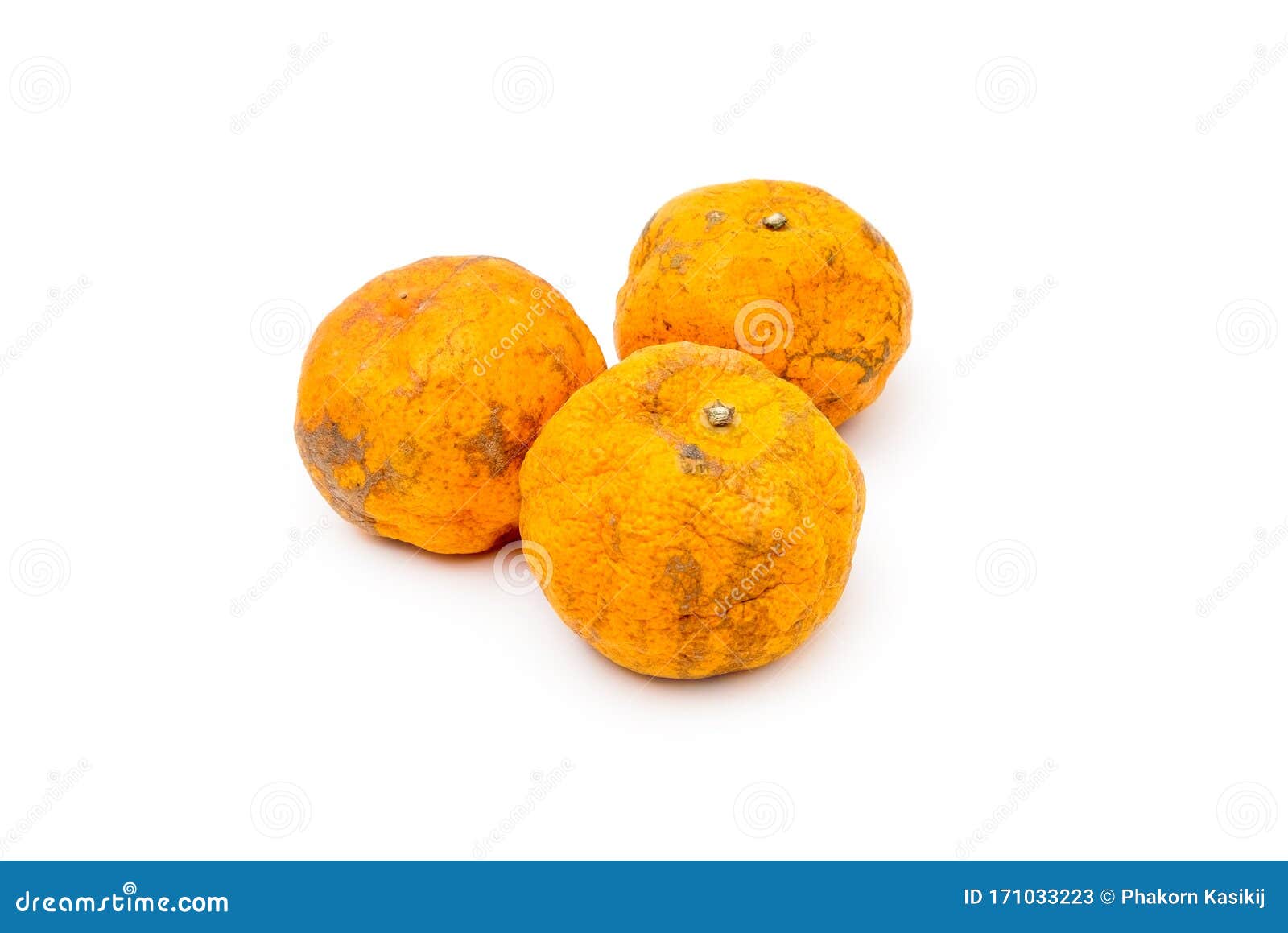 Close Up of Withered Orange on ISolated White Background Stock Image ...