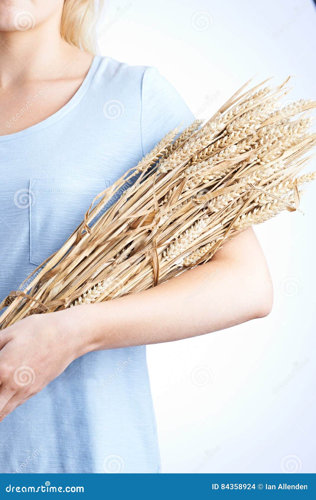 Bundle Of Dry Wheat Ear Put On Variety Kinds Of Natural Cereal And ...