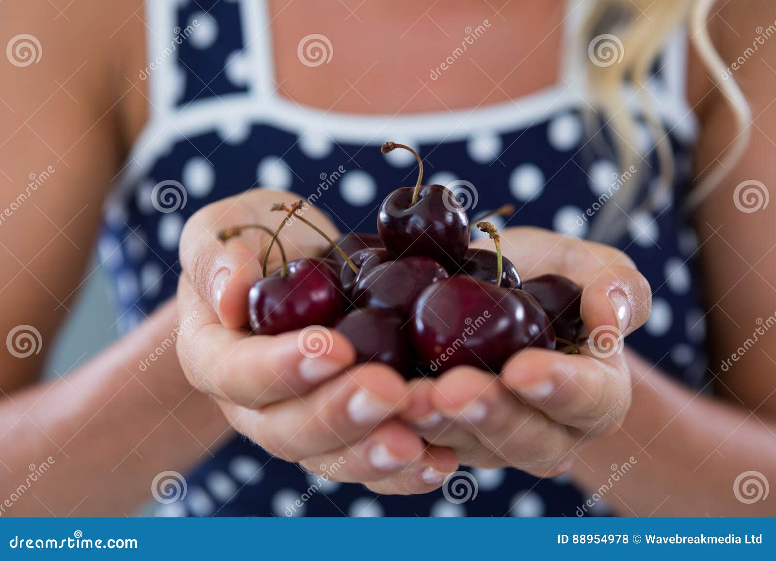Close-up of Woman Holding Cherries Stock Photo - Image of freshness ...