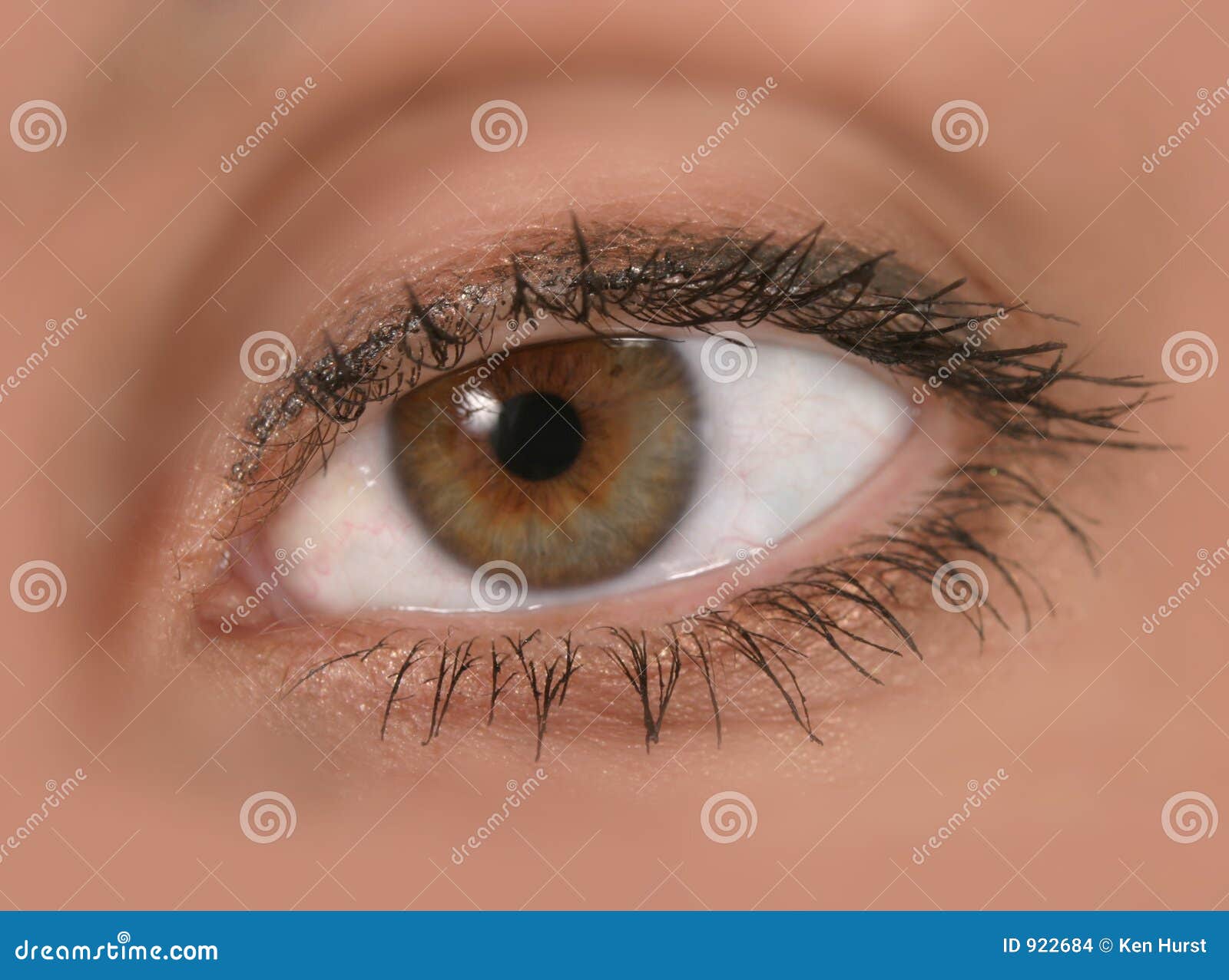 Close Up of Woman S Eye in Focus Stock Photo - Image of eyelid, brown ...