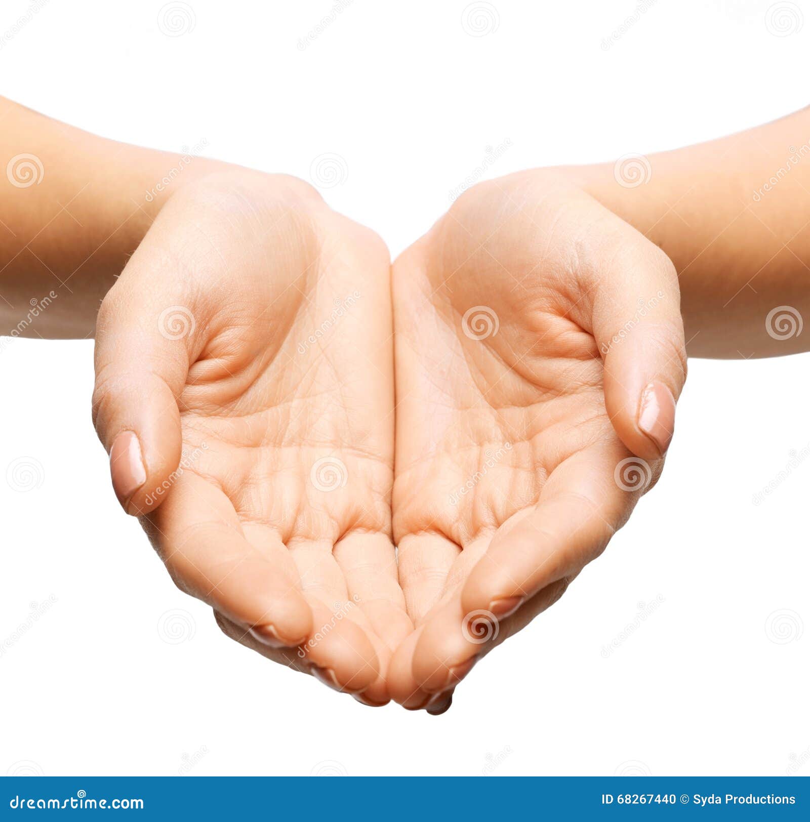 Close Up of Womans Cupped Hands Stock Photo - Image of person, palms ...