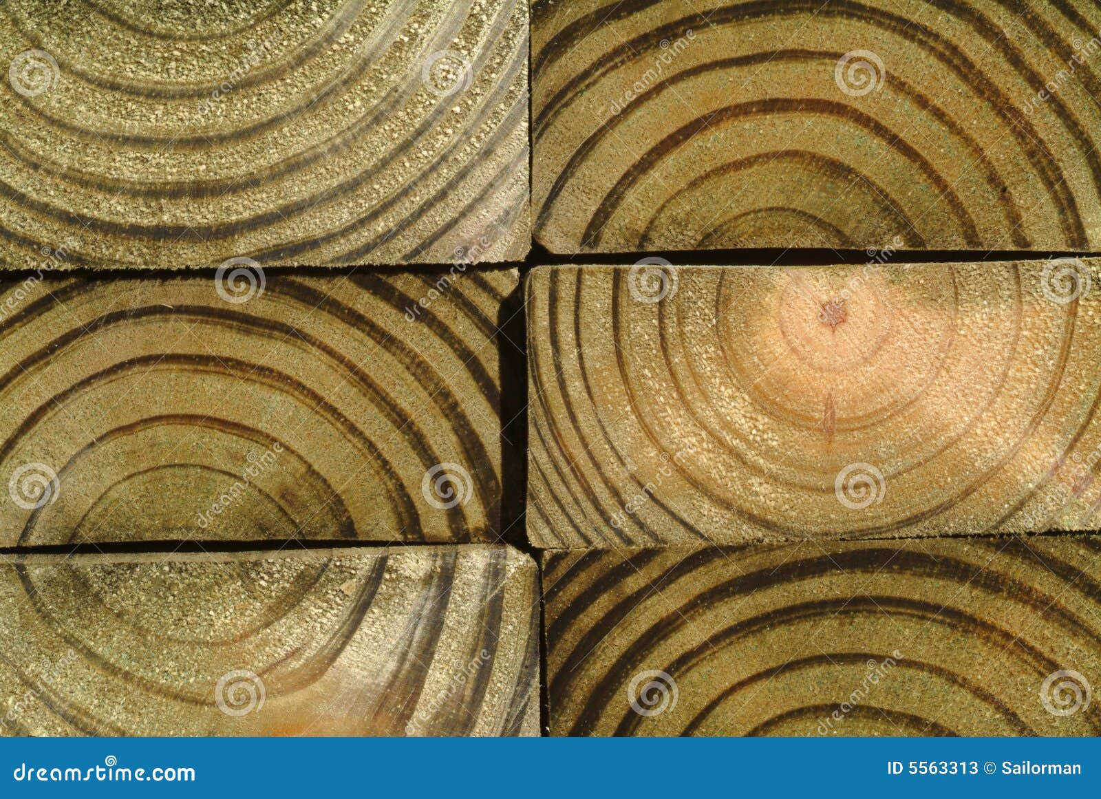 Close up of wood grain stock image. Image of grain, logging - 5563313