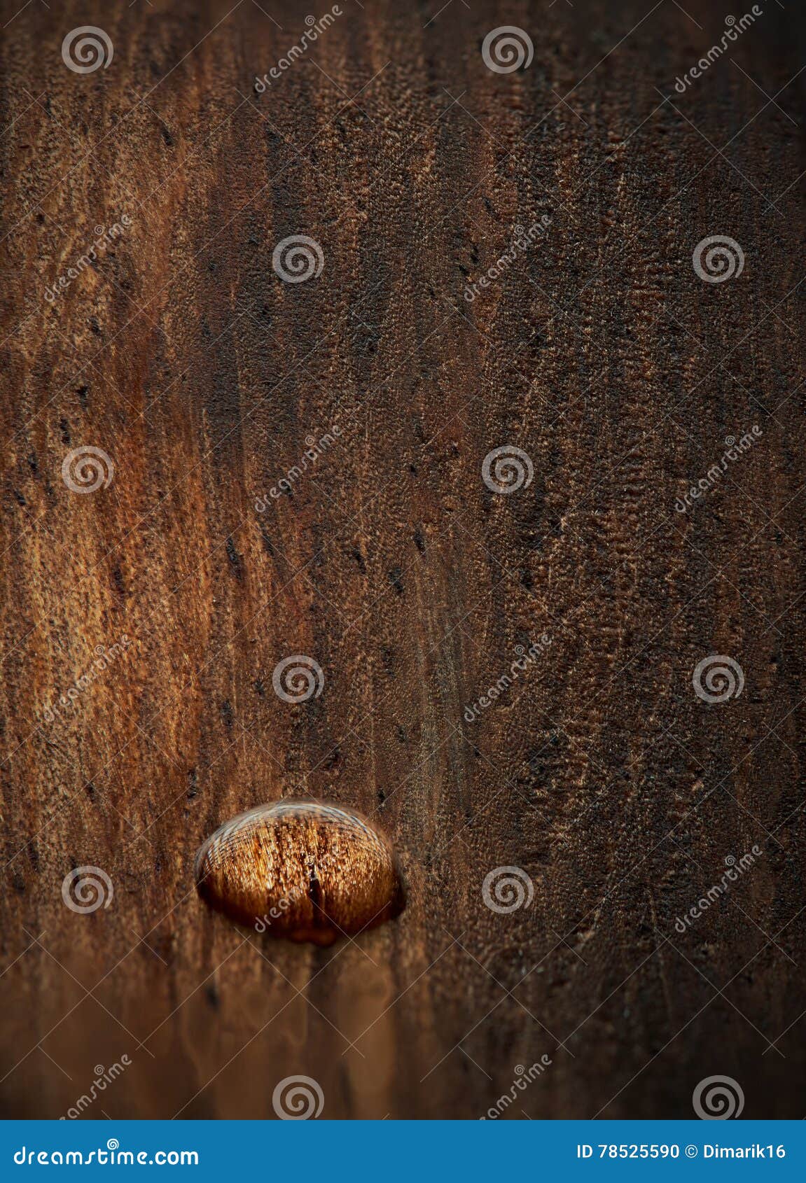 Close Up of Wood with Water Drop Stock Photo - Image of reflection ...