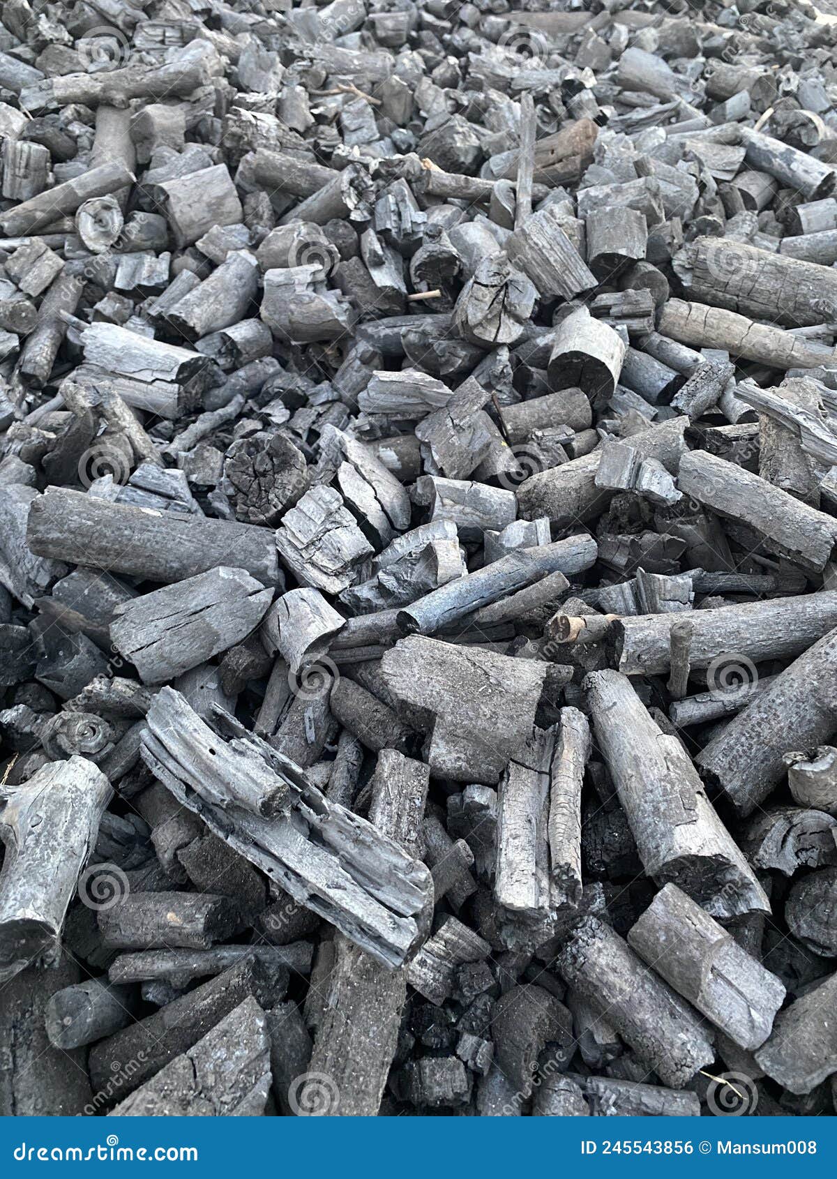 Wooden coal on the ground stock photo. Image of limb - 245543856