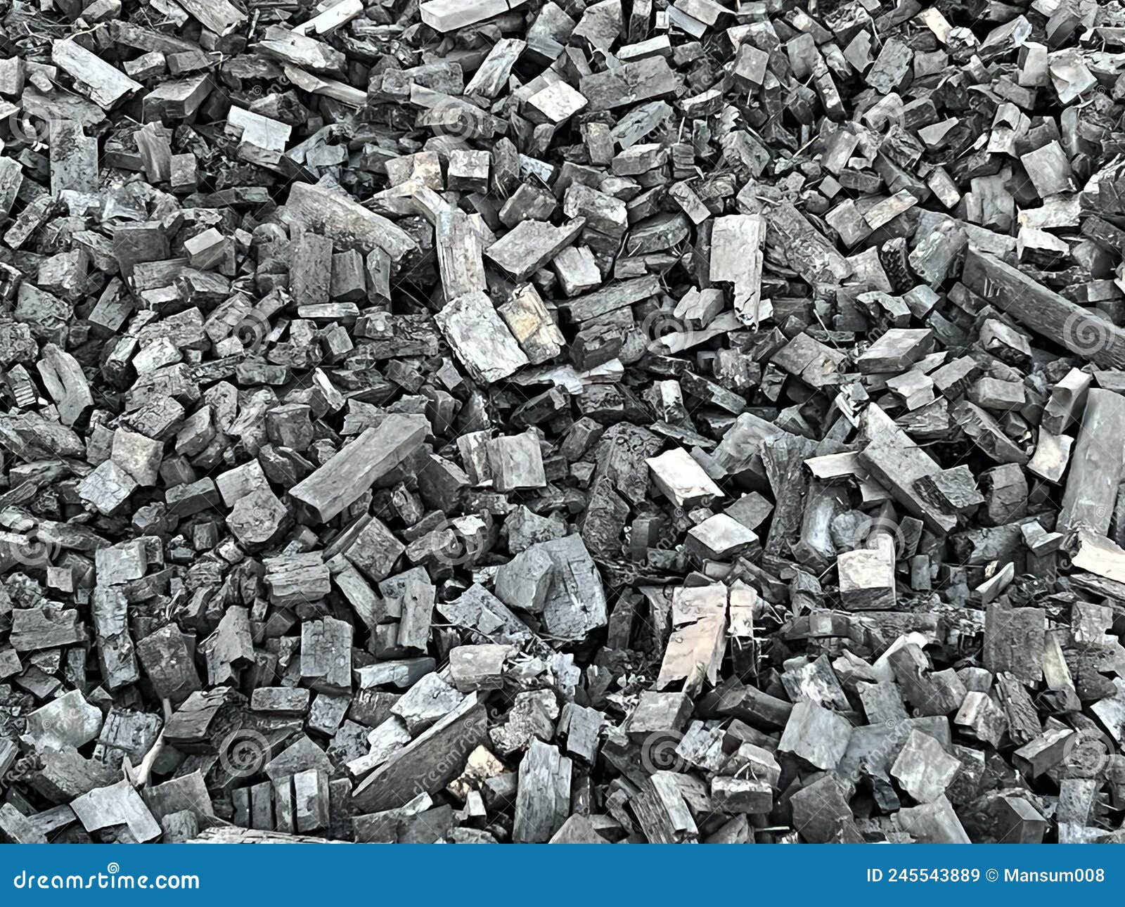 Wooden coal on the ground stock image. Image of limb - 245543889