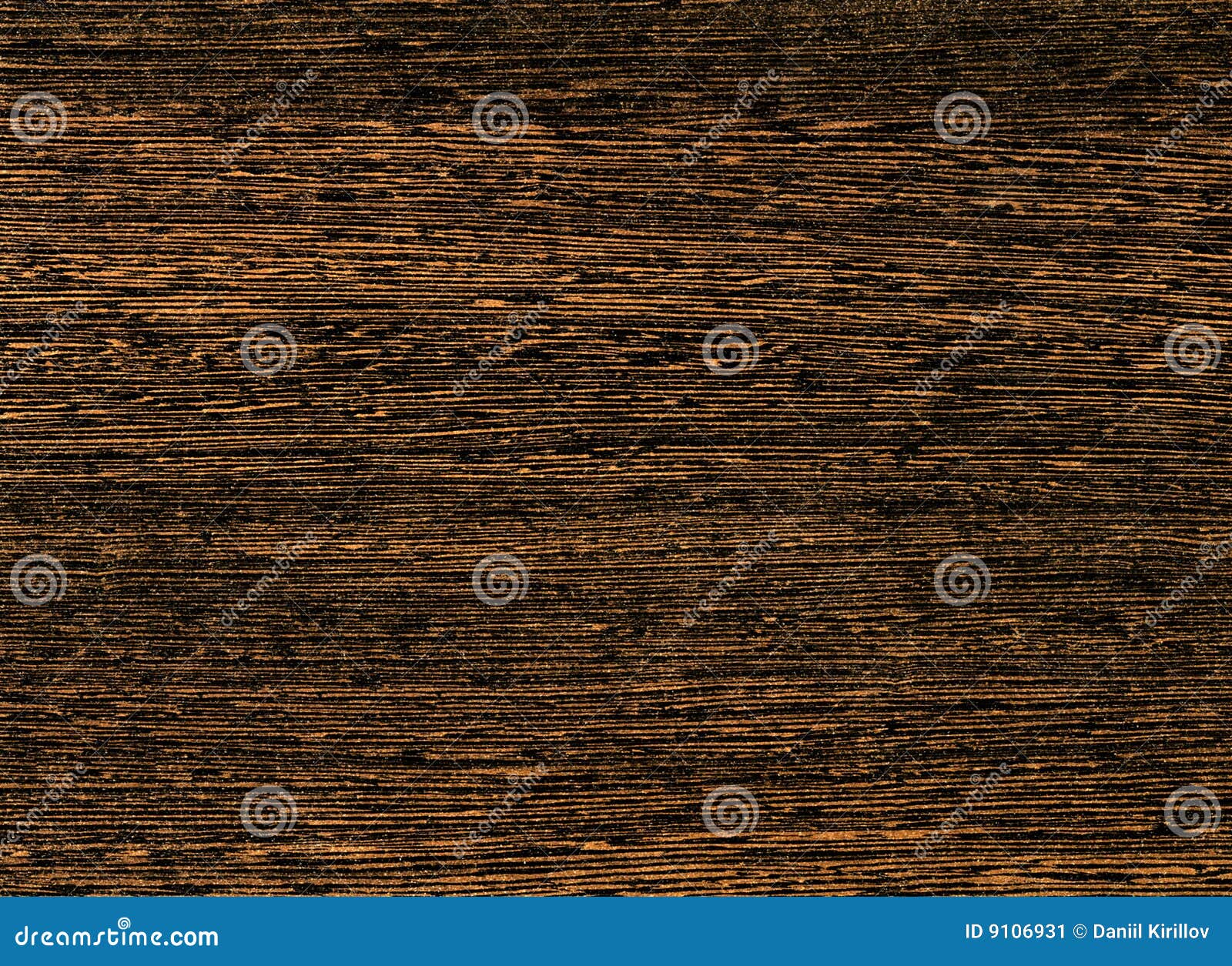 Close-up Wooden Live Oak Texture Stock Image - Image of abstract ...