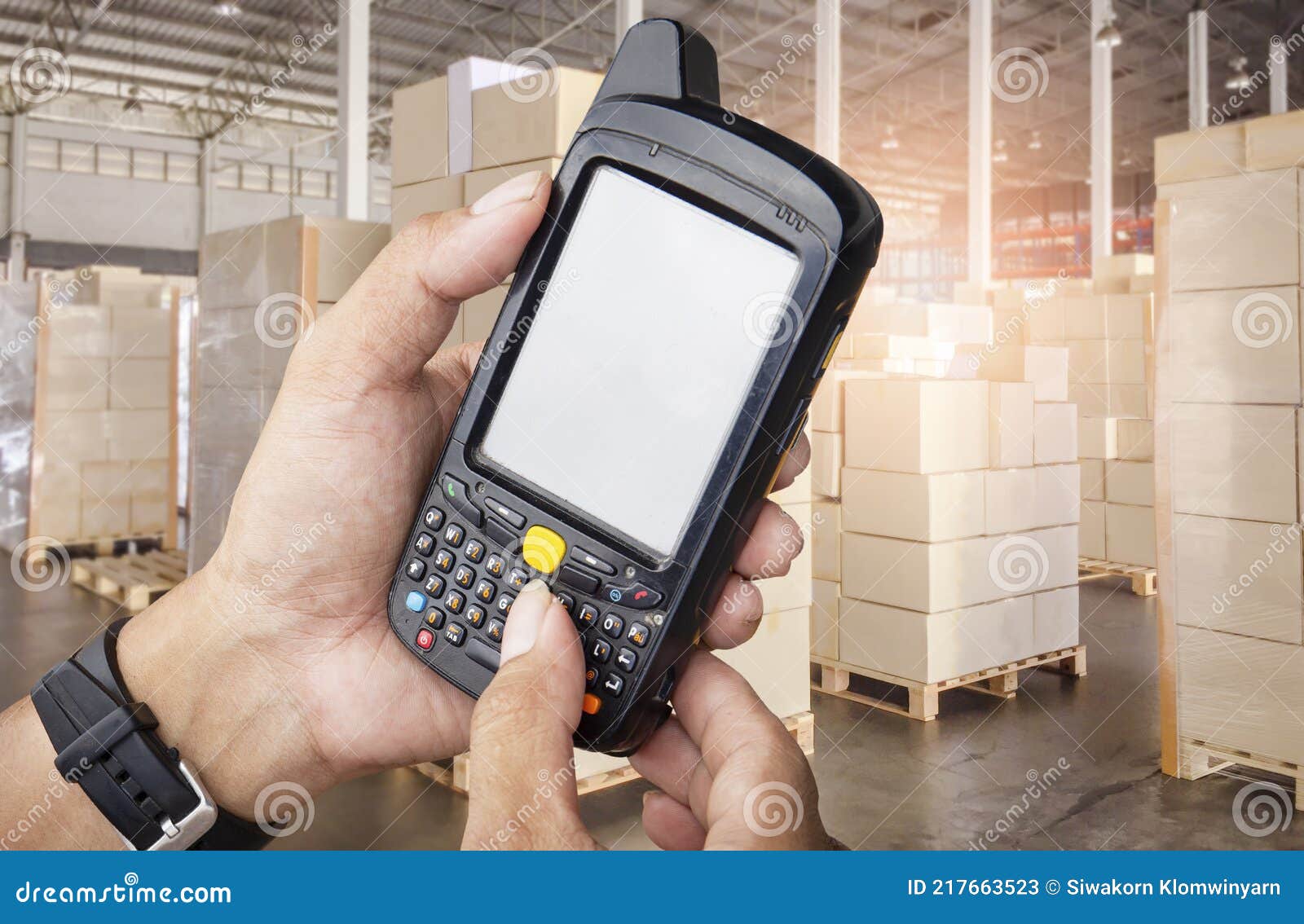 Close-Up, Worker Holding Barcode Scanner with Blank Screen His Checking ...