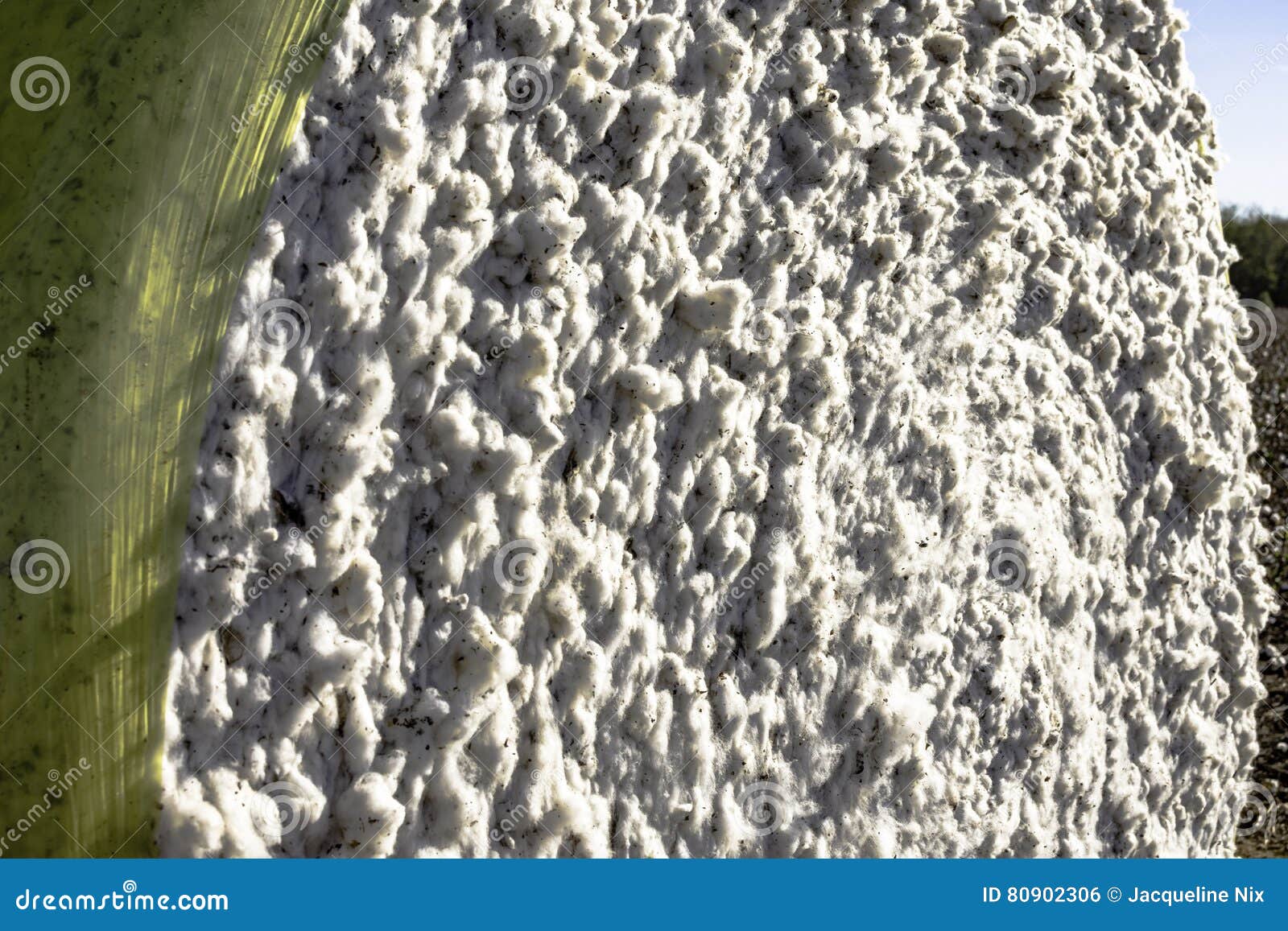 Close Up of a Wrapped Cotton Bale Stock Photo - Image of farm, crops ...