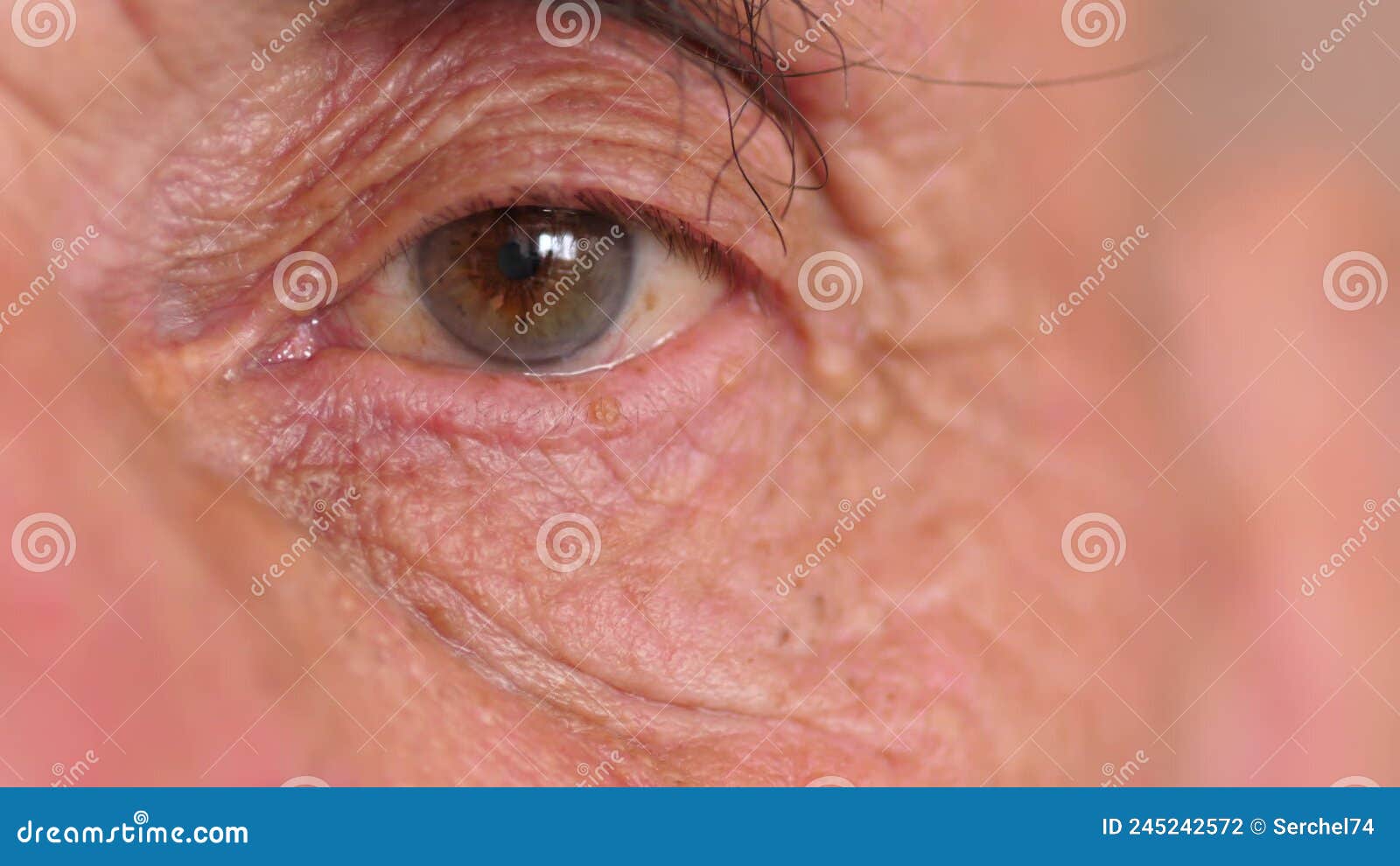 Close-up of the Wrinkled Eye of an Elderly Caucasian Man 70 Years Old ...