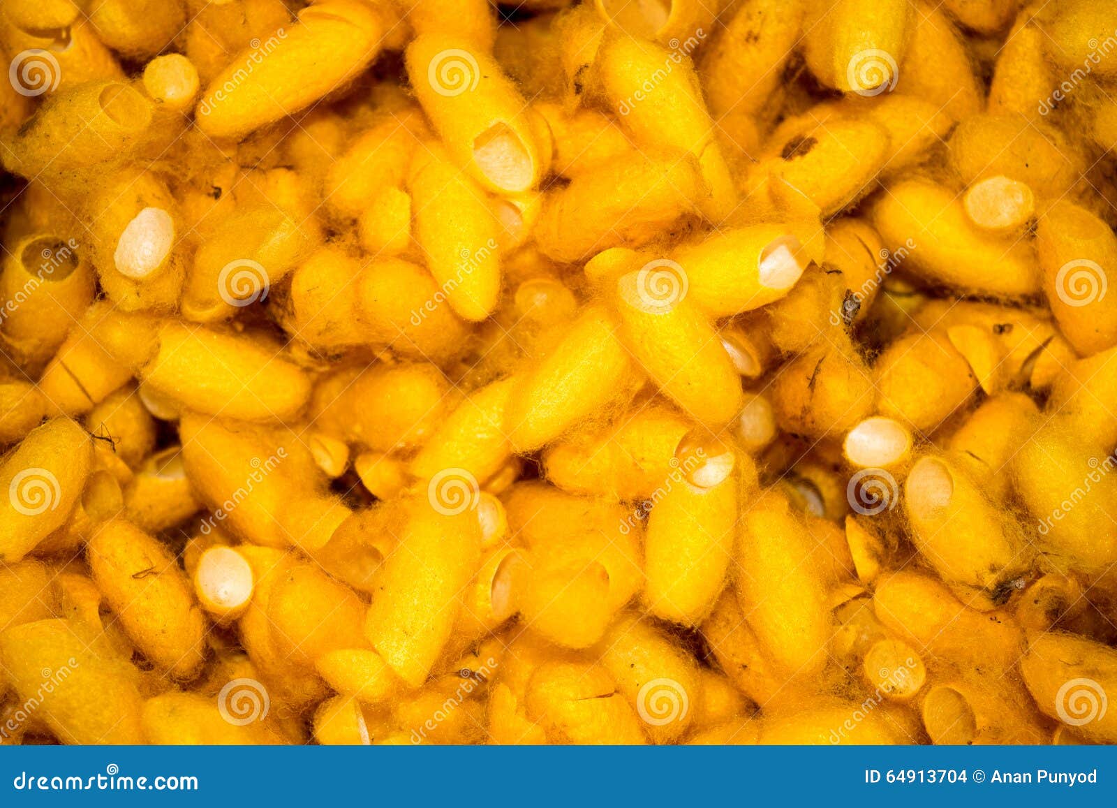 Close Up Yellow Cocoon Abstract Background Textures Stock Photo - Image ...