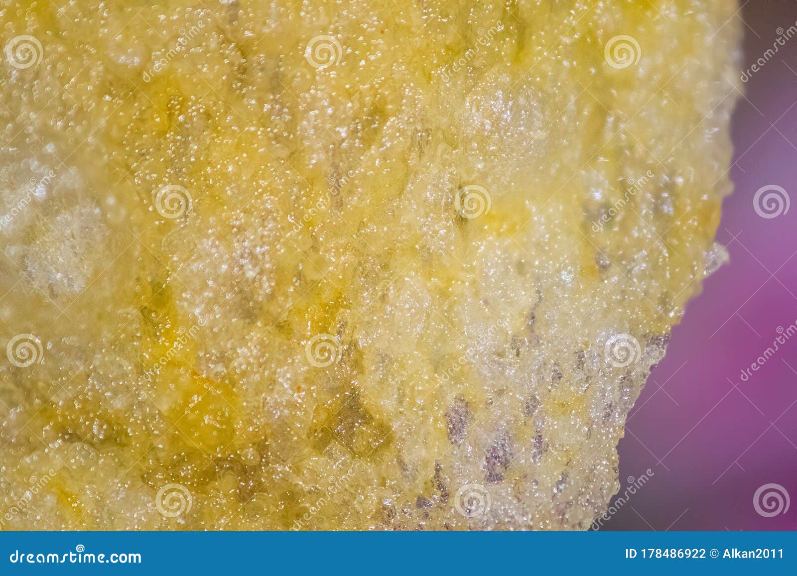 Close up of a yellow crisp stock photo. Image of fattening - 178486922