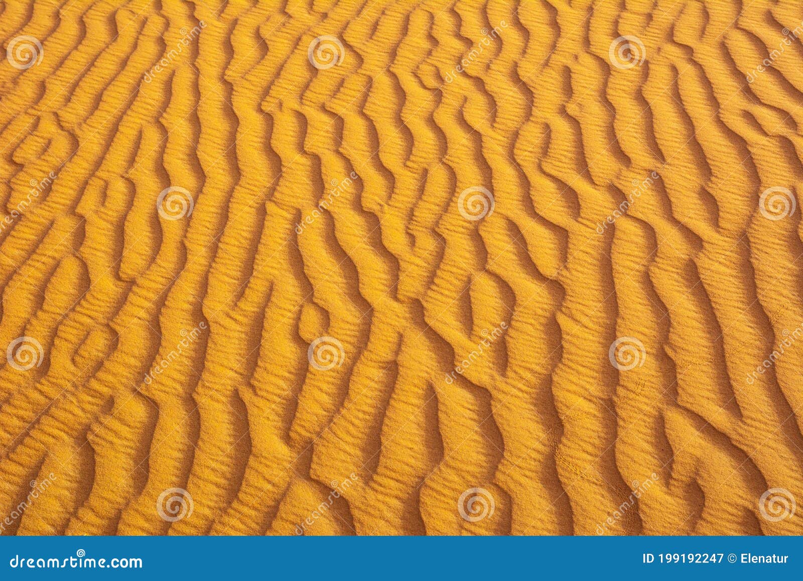 Close-up of Yellow Sand`s Texture for Background. Sand Dune in Sahara ...