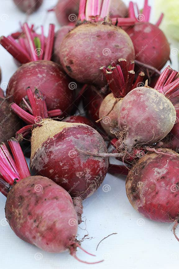 Close-ups of Fresh Beetroot. Stock Photo - Image of nature, eating ...