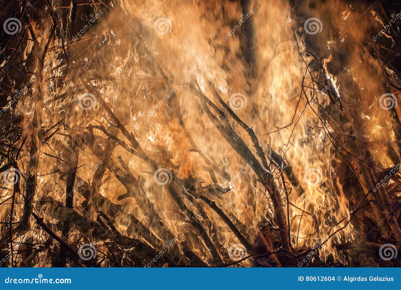 Close View of a Big Forest Fire Stock Photo - Image of natural, bush ...