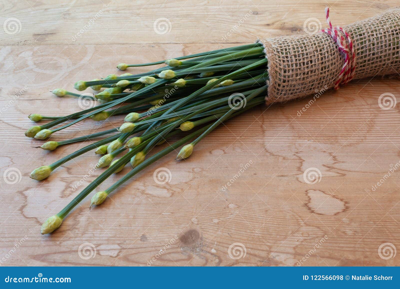 Close View of Bundle of Chives Bound in Burlap on a Weathered Wood ...