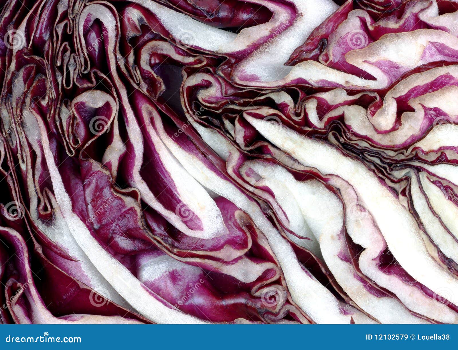 Close view cabbage slice stock image. Image of view, nutritious - 12102579