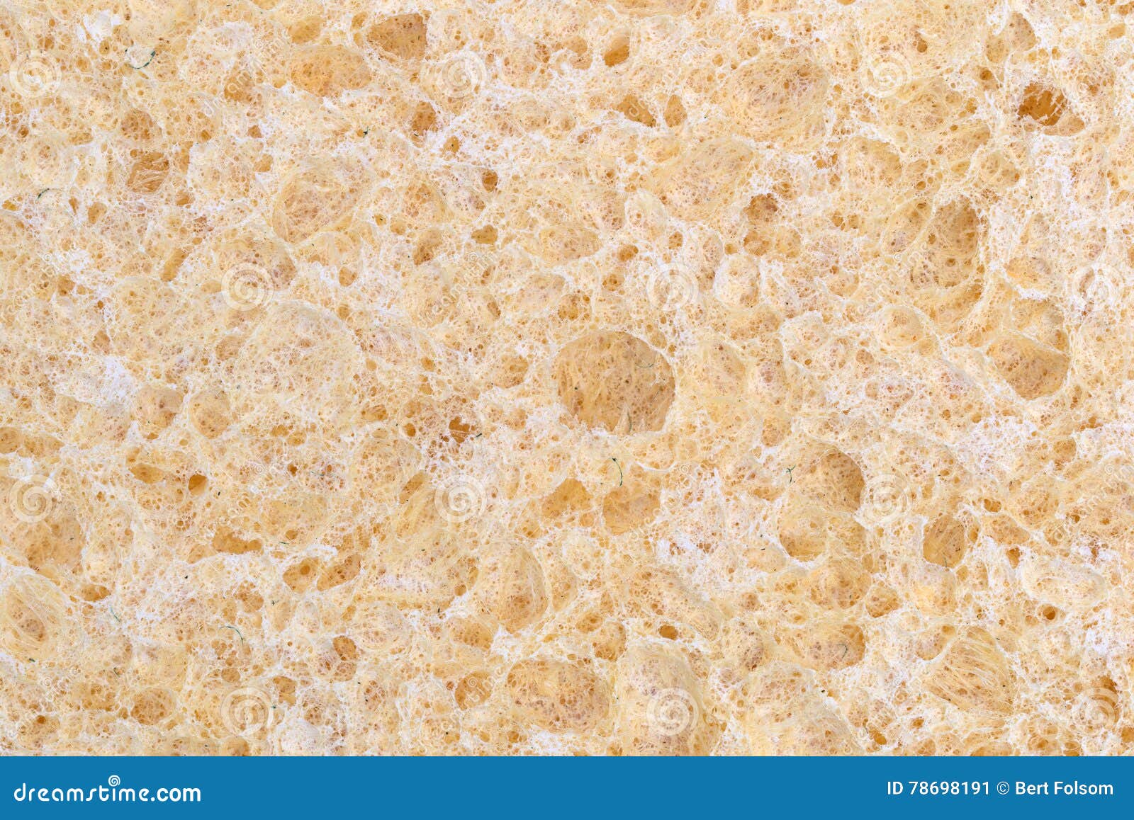 Close View of a Cellulose Sponge Stock Image - Image of hygiene ...