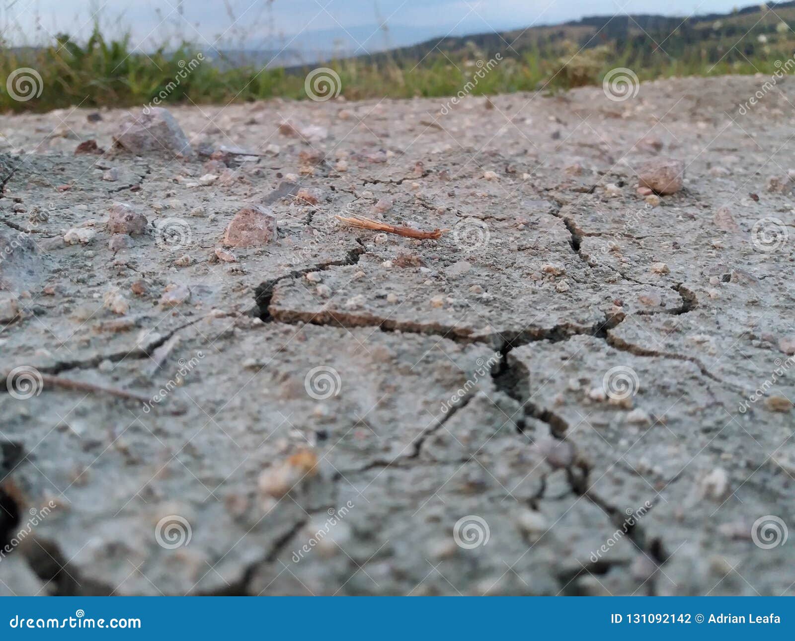 Cracked earth in close-up stock photo. Image of natural - 131092142