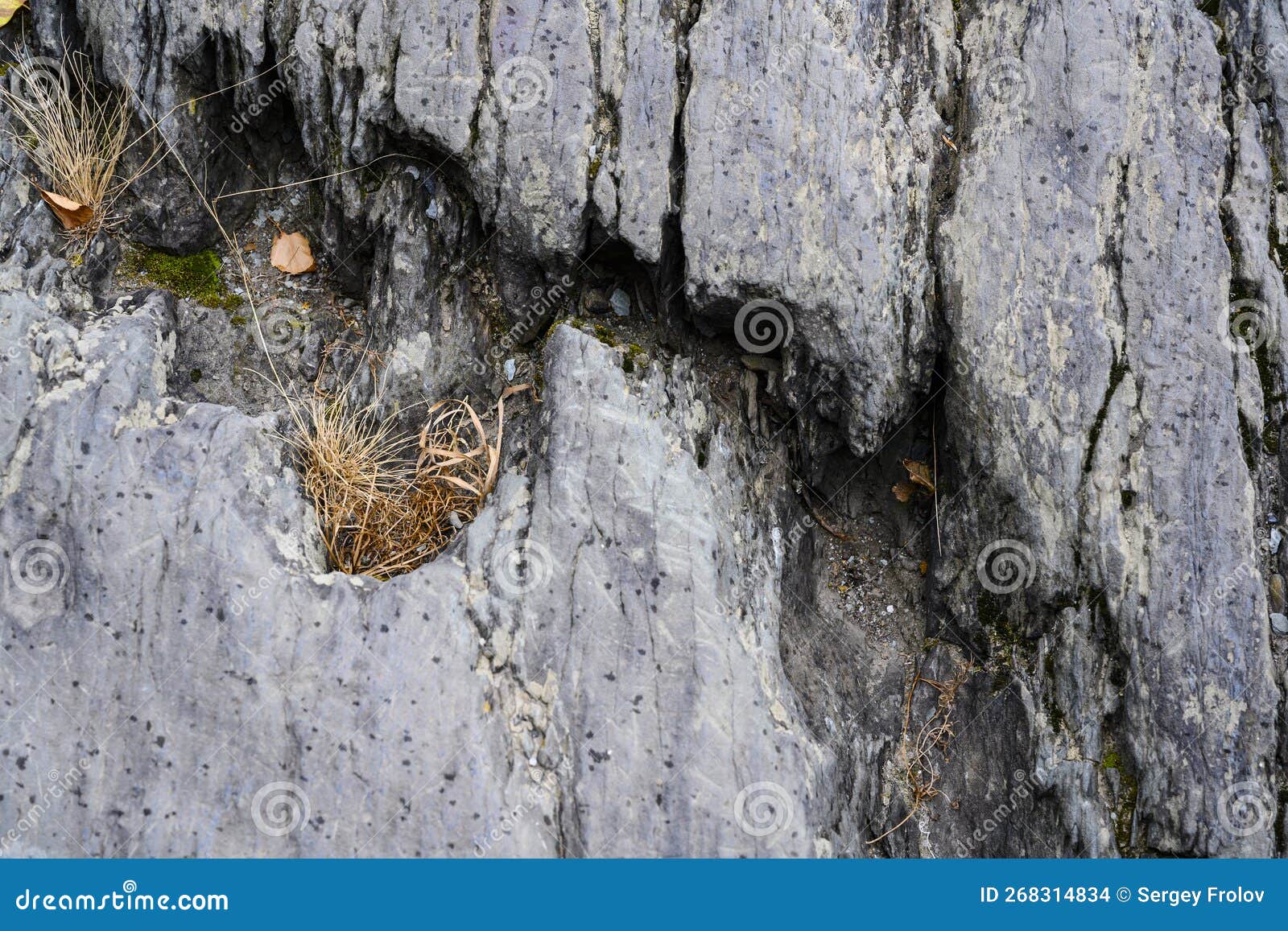 A Close View of a Crevice in a Rock with Dry Grass Stock Photo - Image ...