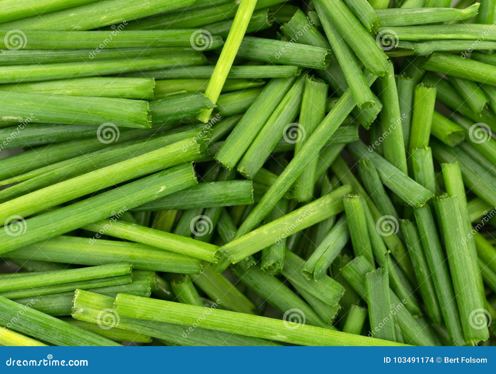 Close view of cut chives stock photo. Image of view - 103491174