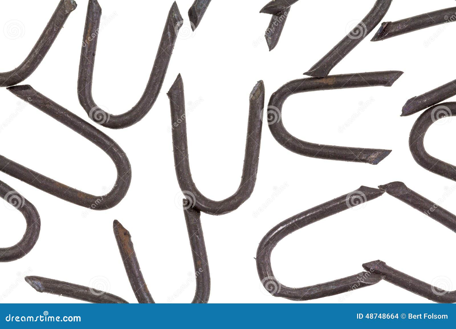 Close View of Double Point Tacks Stock Photo - Image of fence ...