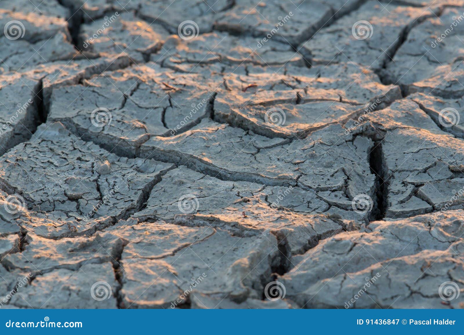 Close View of Extremely Dry Soil with Fissures Stock Image - Image of ...