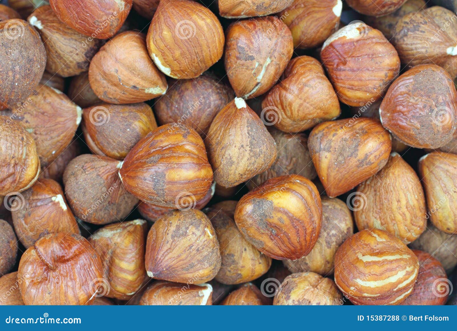 Close view of filbert nuts stock photo. Image of delicious - 15387288