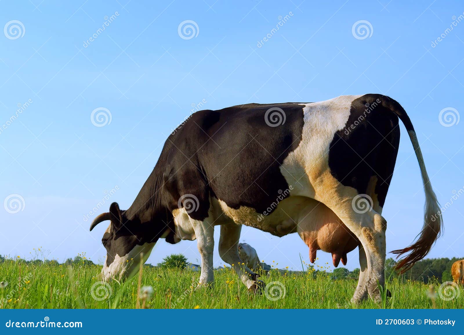 Close Up View Of The Underside Of A Flat Roof With Blue Sky In The ...