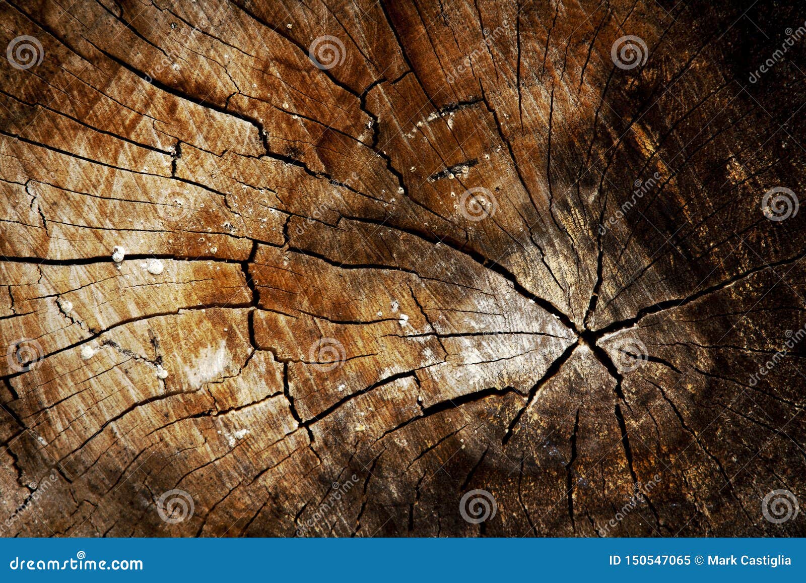 Close View of Log with Vivid Color and Deep Shadow Stock Image - Image ...