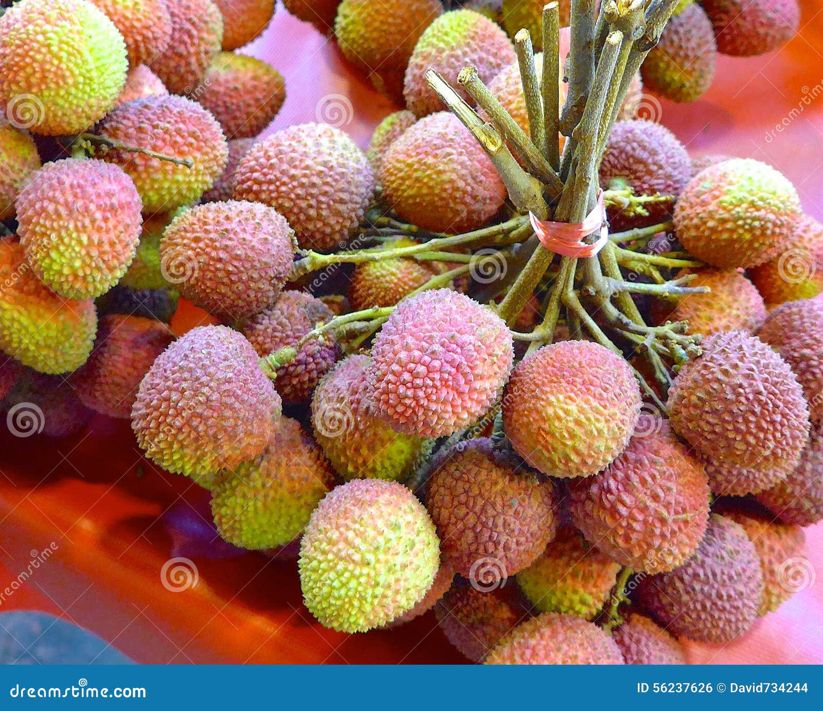 The close view of Lychee stock photo. Image of color - 56237626