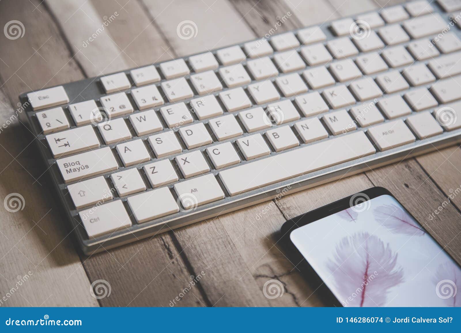 Close View of a Modern White PC an Mobile Keyboard with Pink Feather ...