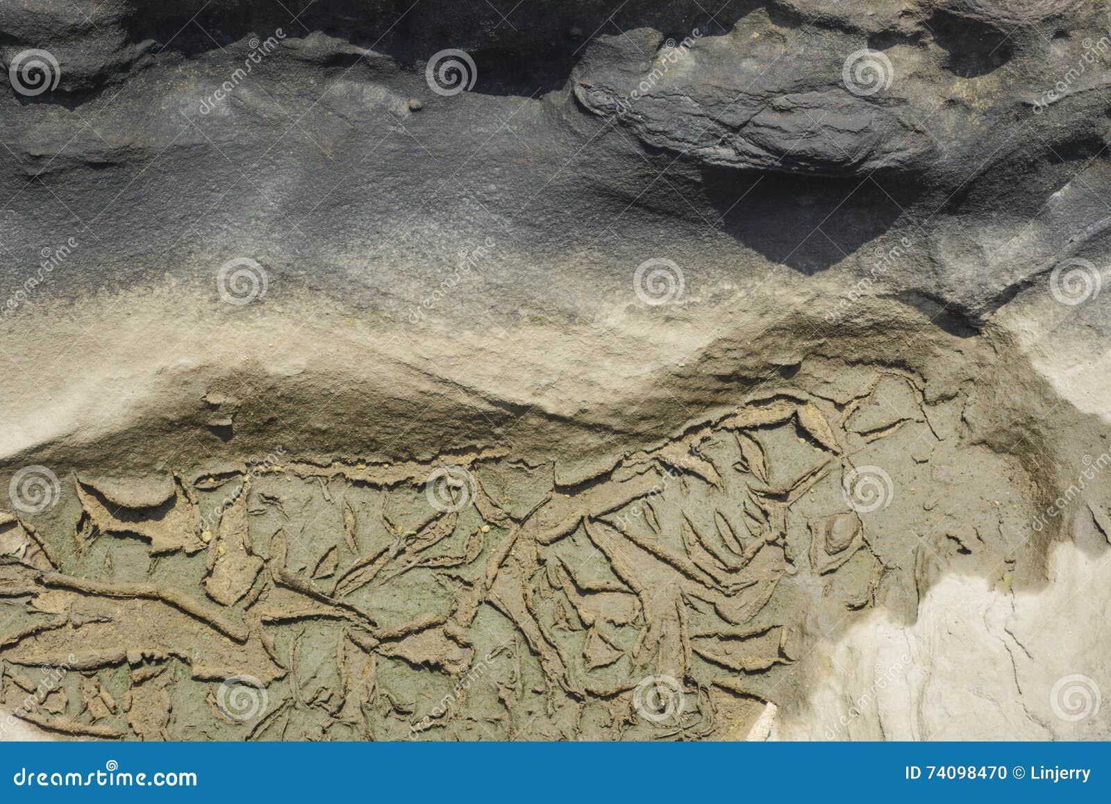 Close View on the Muddy Stones Stock Photo - Image of mountain, macro ...