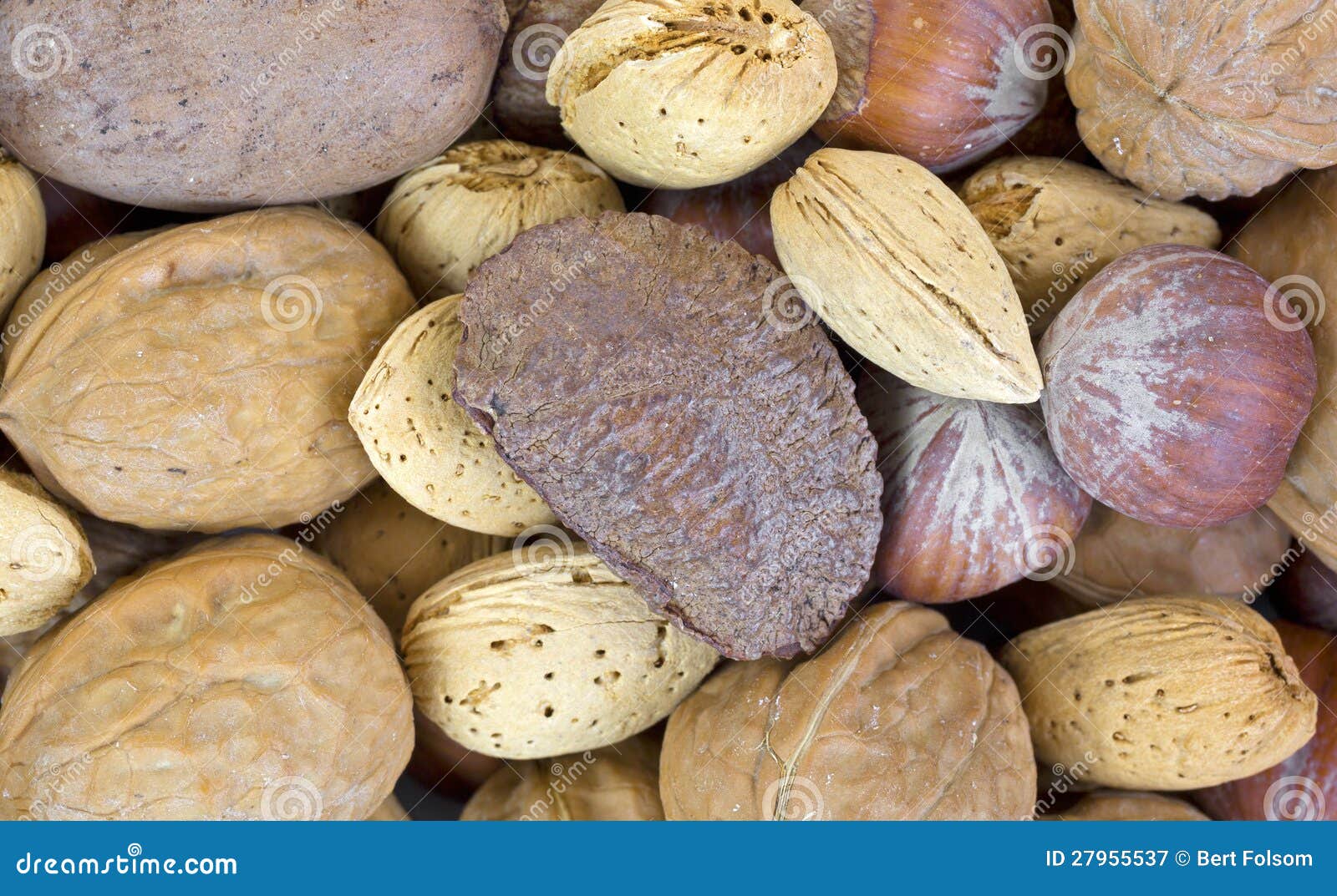 Close View of Nuts in Shells Stock Image - Image of protein, natural ...