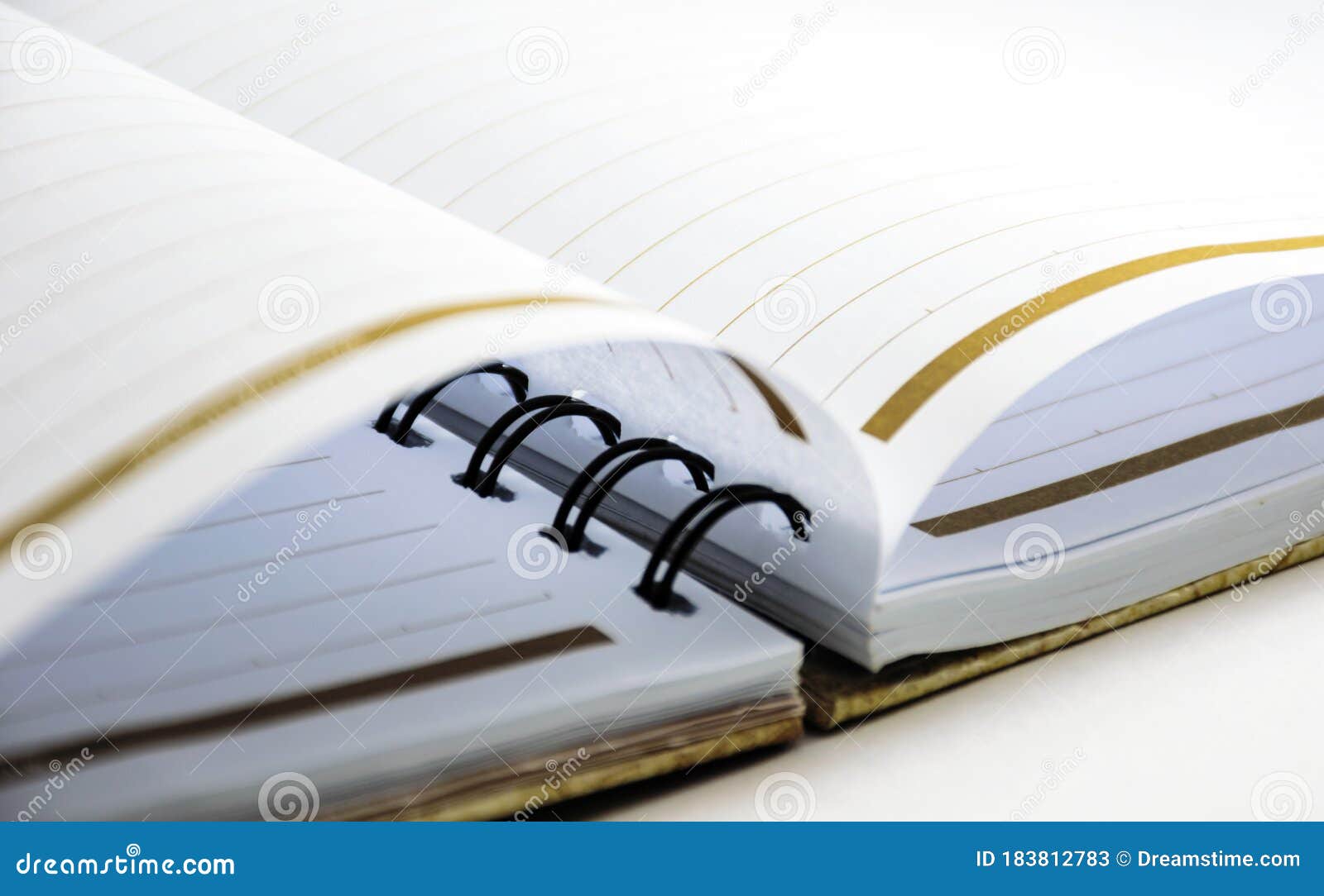 A Close View of an Open Diary or Notepad with Rings Isolated on a White ...
