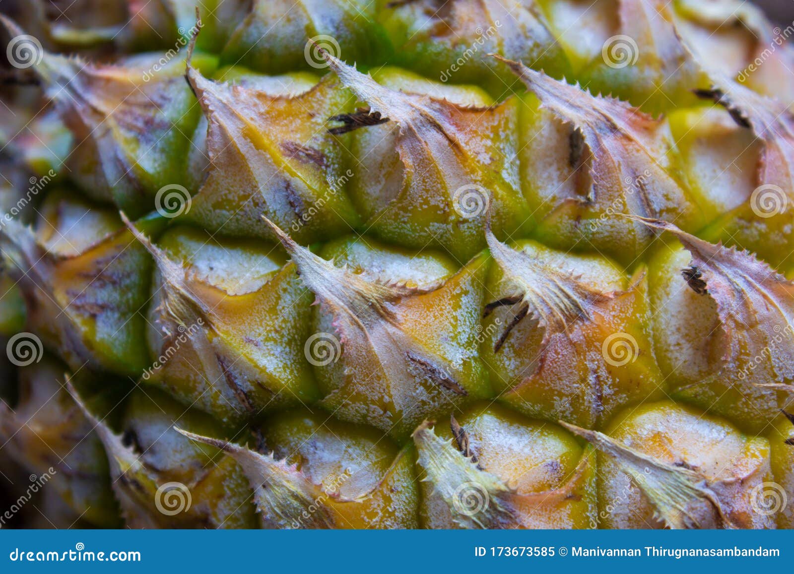 Close View of Pineapple Skin Texture Stock Image - Image of antioxidant ...