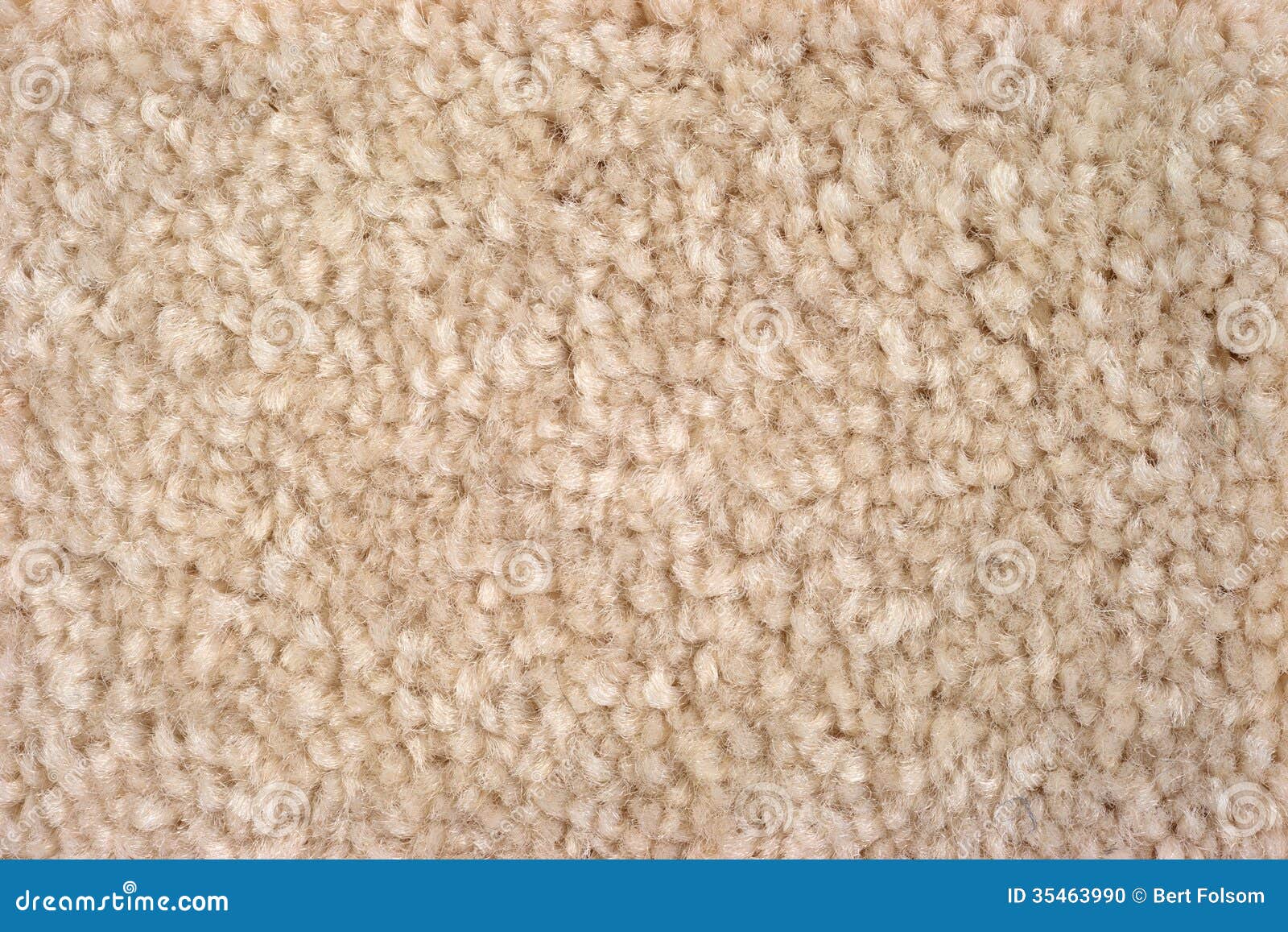 Close View of Plush Tan Carpeting Stock Photo - Image of material ...