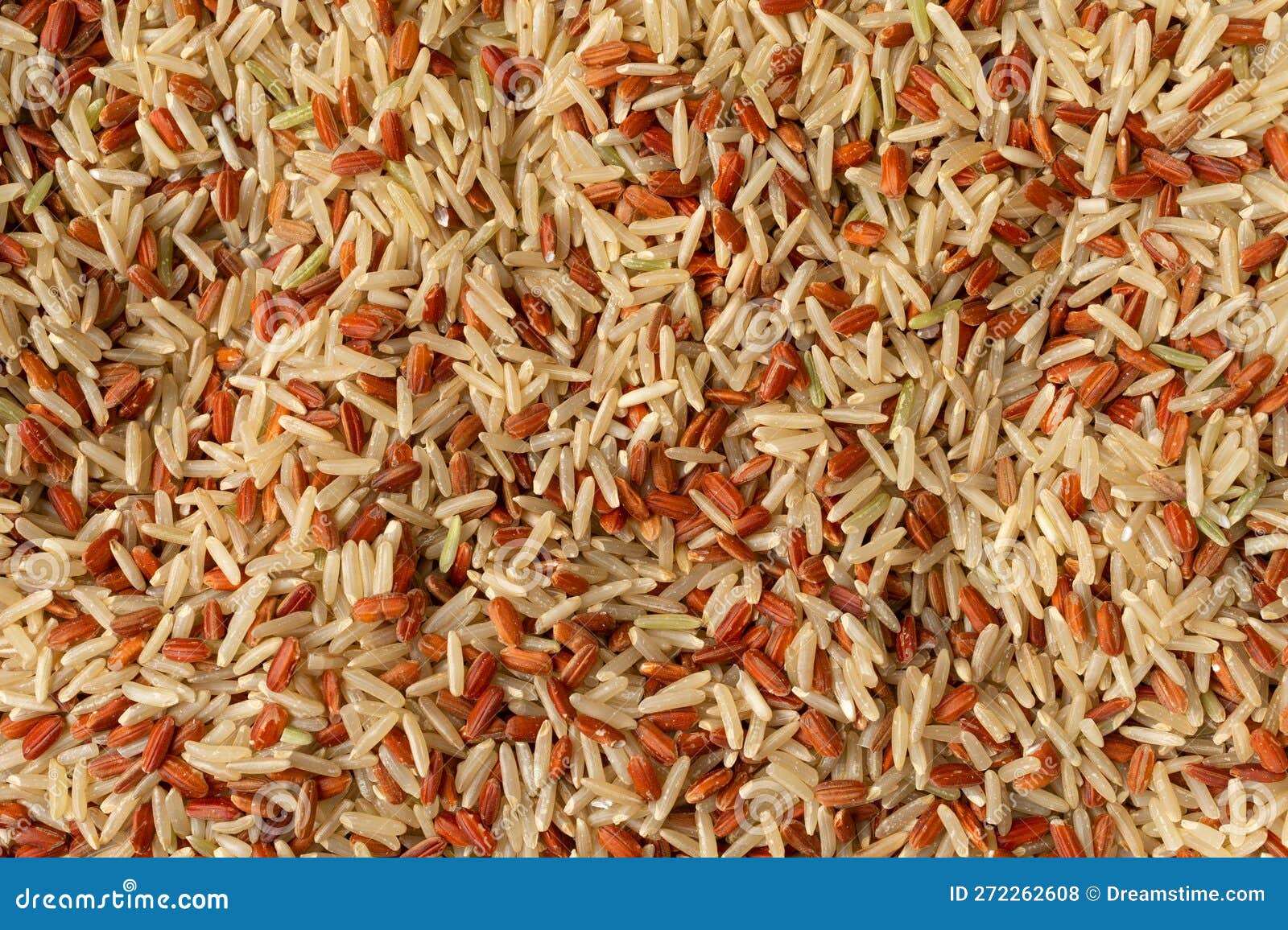 Close View of a Portion of Long Grain Brown Rice and Red Rice Stock ...
