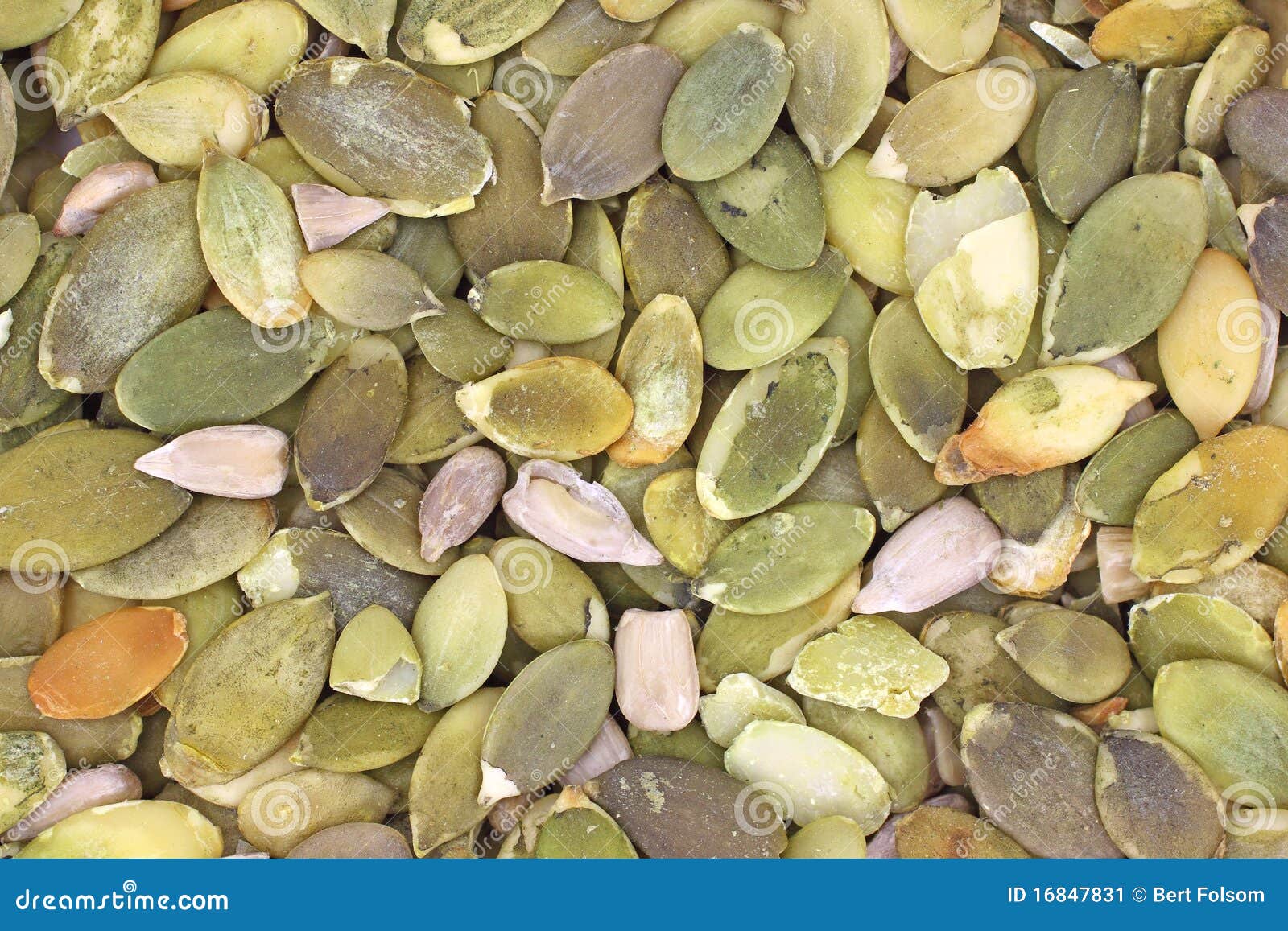 Close View of Raw Pumpkin Seeds Stock Image - Image of seeds, tasty ...