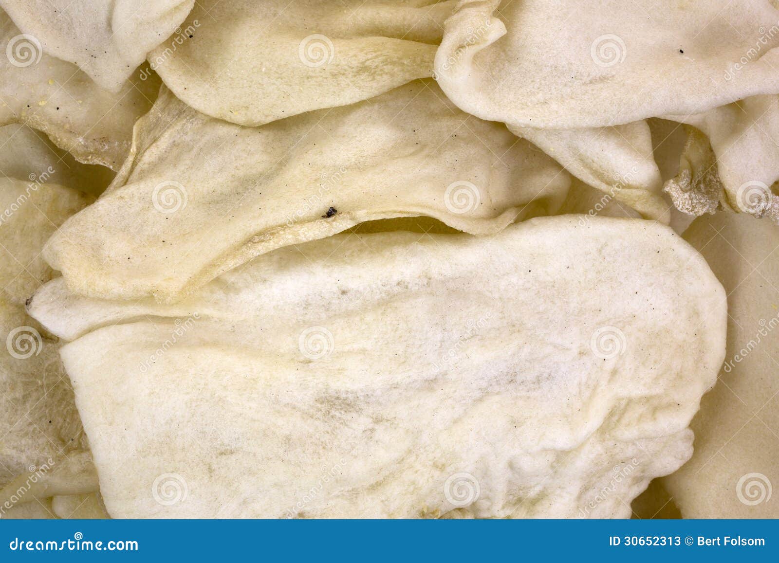 Close View Rawhide Dog Chews Stock Image - Image of skin, closeup: 30652313