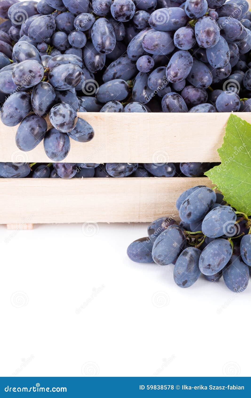 Close View of Red Table Grape (Vitis) Clusters Stock Photo - Image of ...