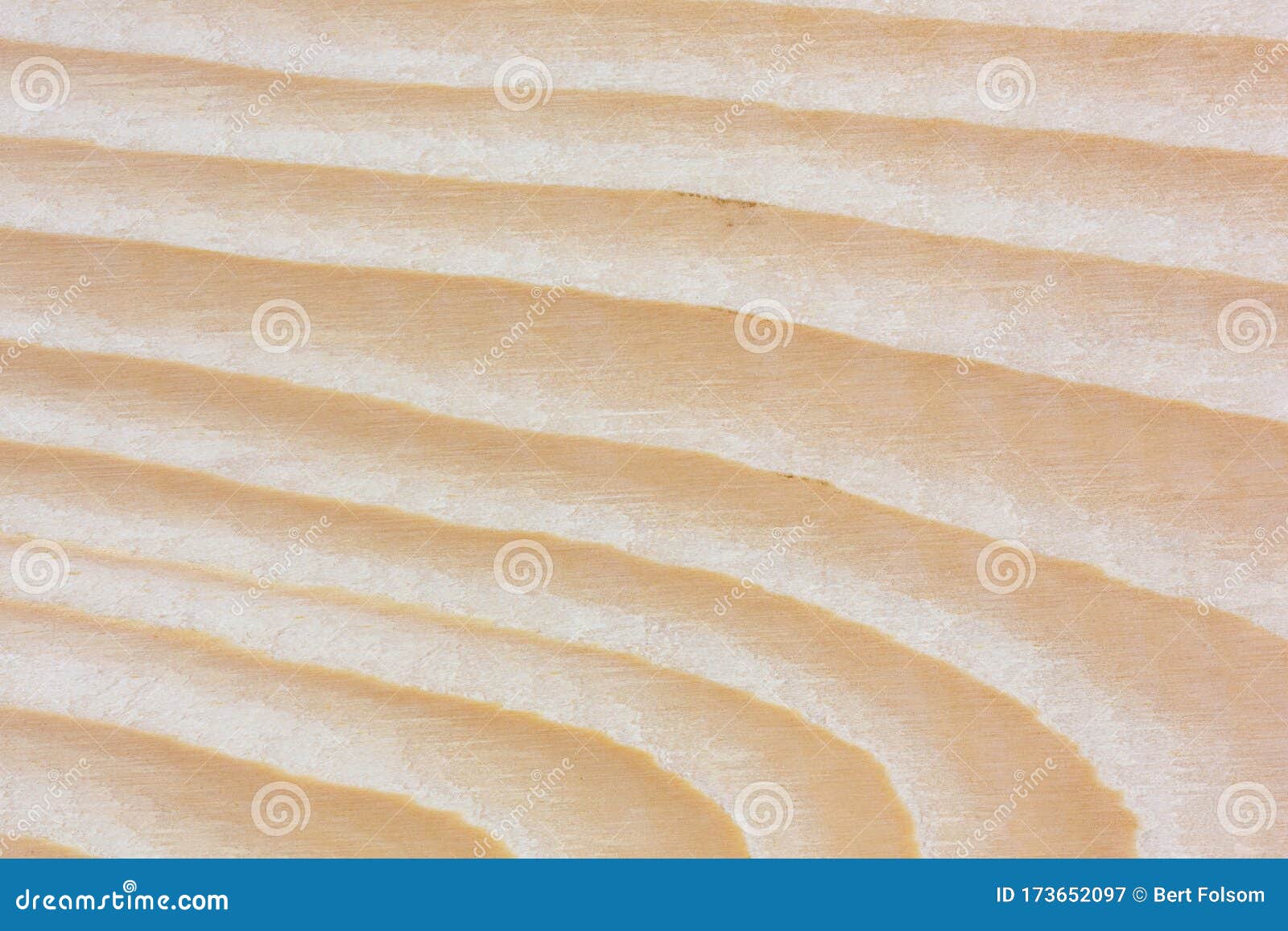 Spruce Wood Texture Stock Photography | CartoonDealer.com #156251582