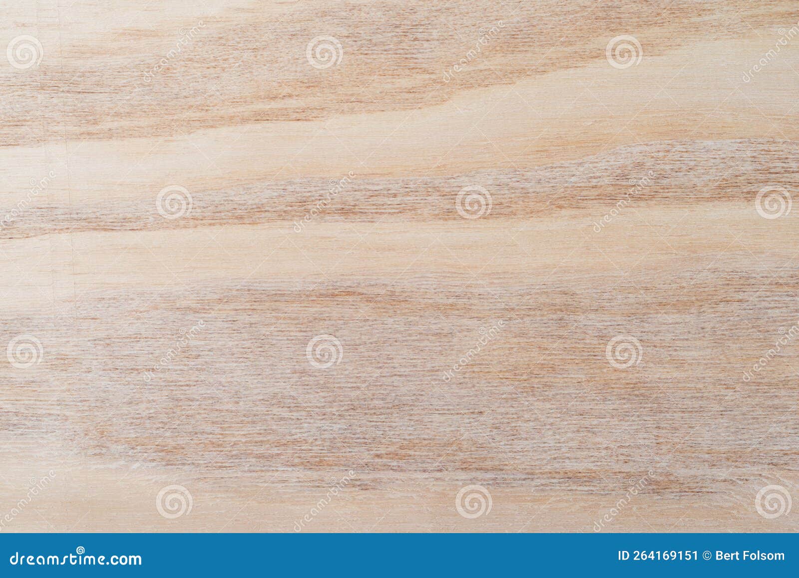 Close View of a Sanded Plywood Panel Stock Image - Image of yellow ...