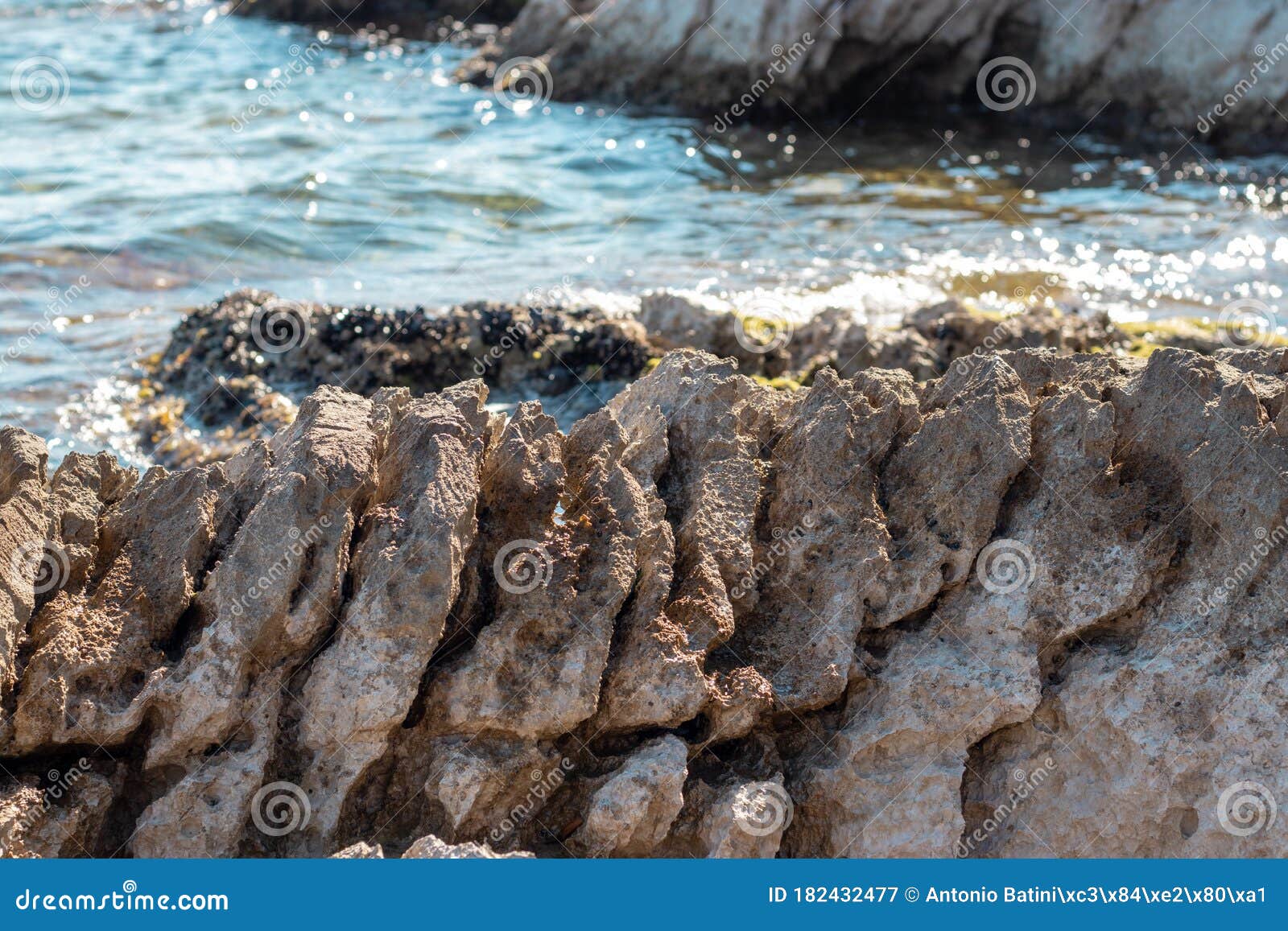 Close View of a Serrated Sharp Rock on the Shore Stock Image - Image of ...